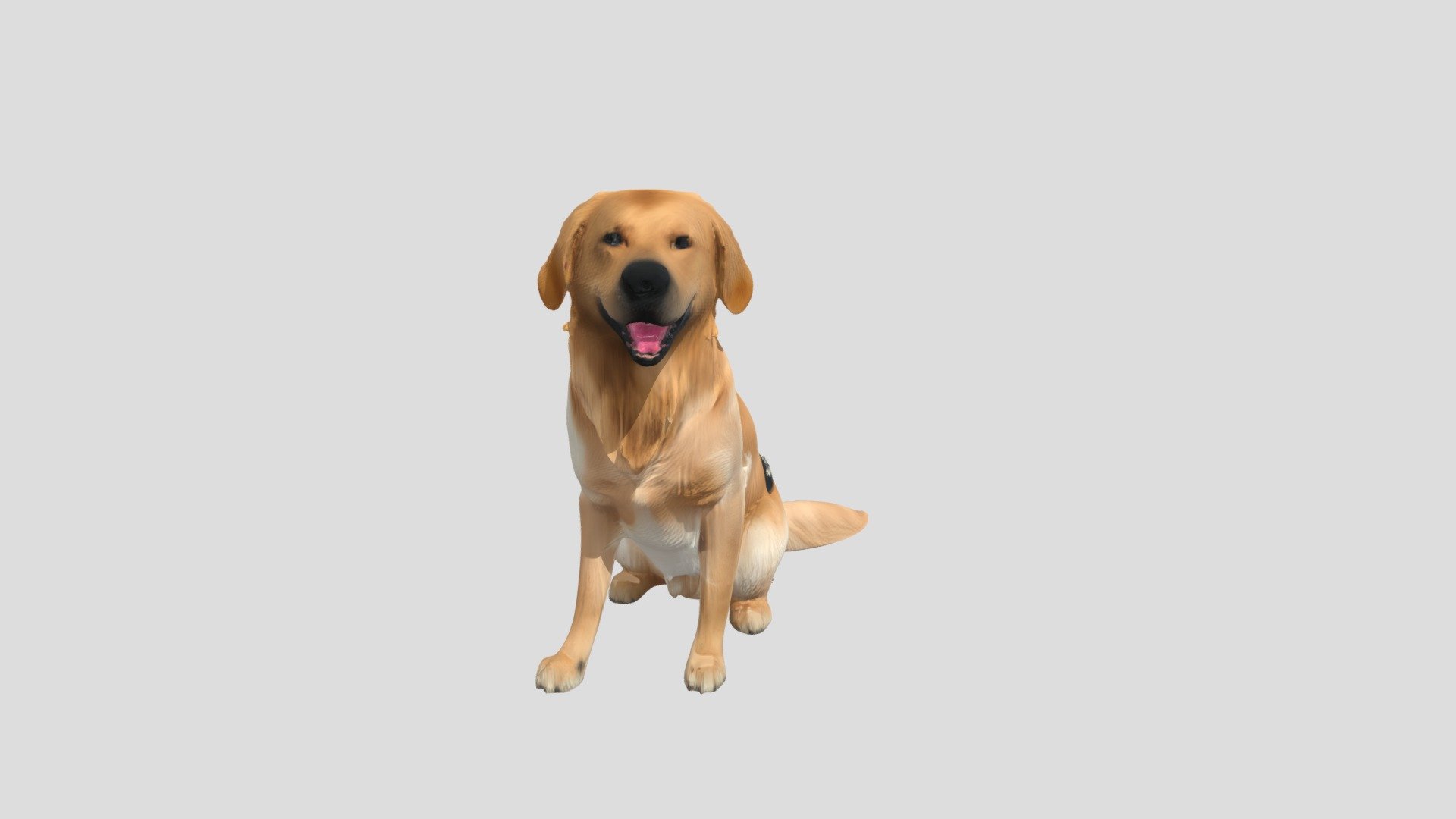 Golden retriever dog sitting - 3D model by michelskapp [5261798 ...