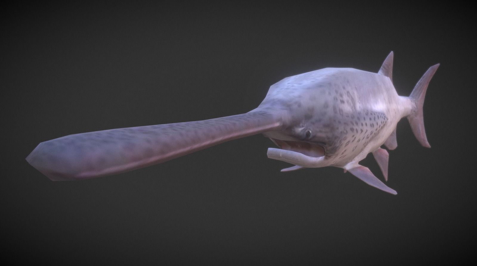 Paddlefish - 3D model by YOURS (@double2) [5261cd8] - Sketchfab