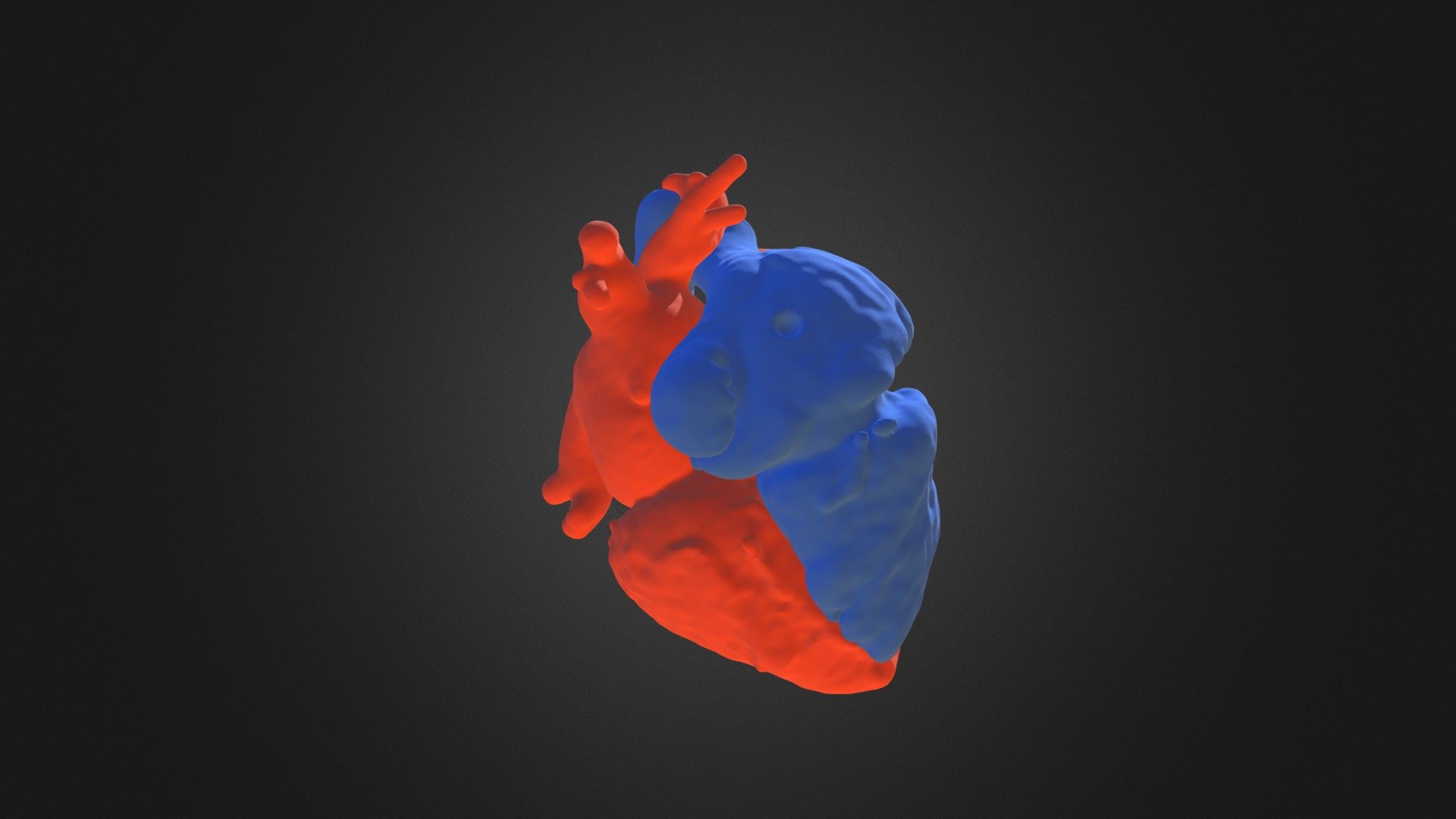 Heart - 3D model by Justin Cramer (@jcramer) [5263a45] - Sketchfab