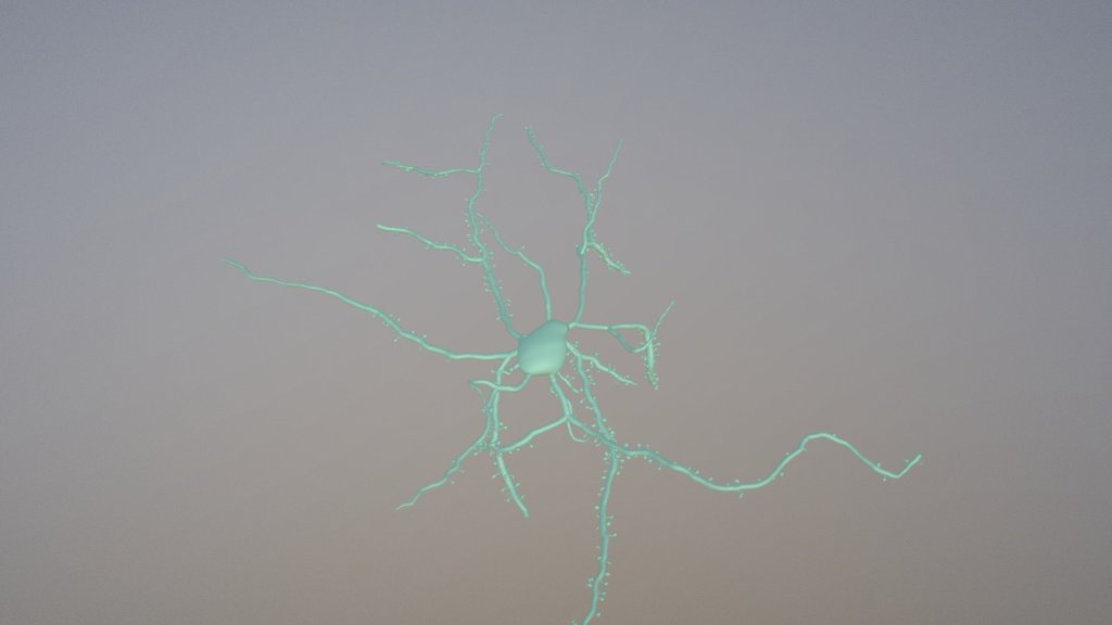 Neuron Reconstruction with Spines - 3D model by DRVISION (@Aivia ...