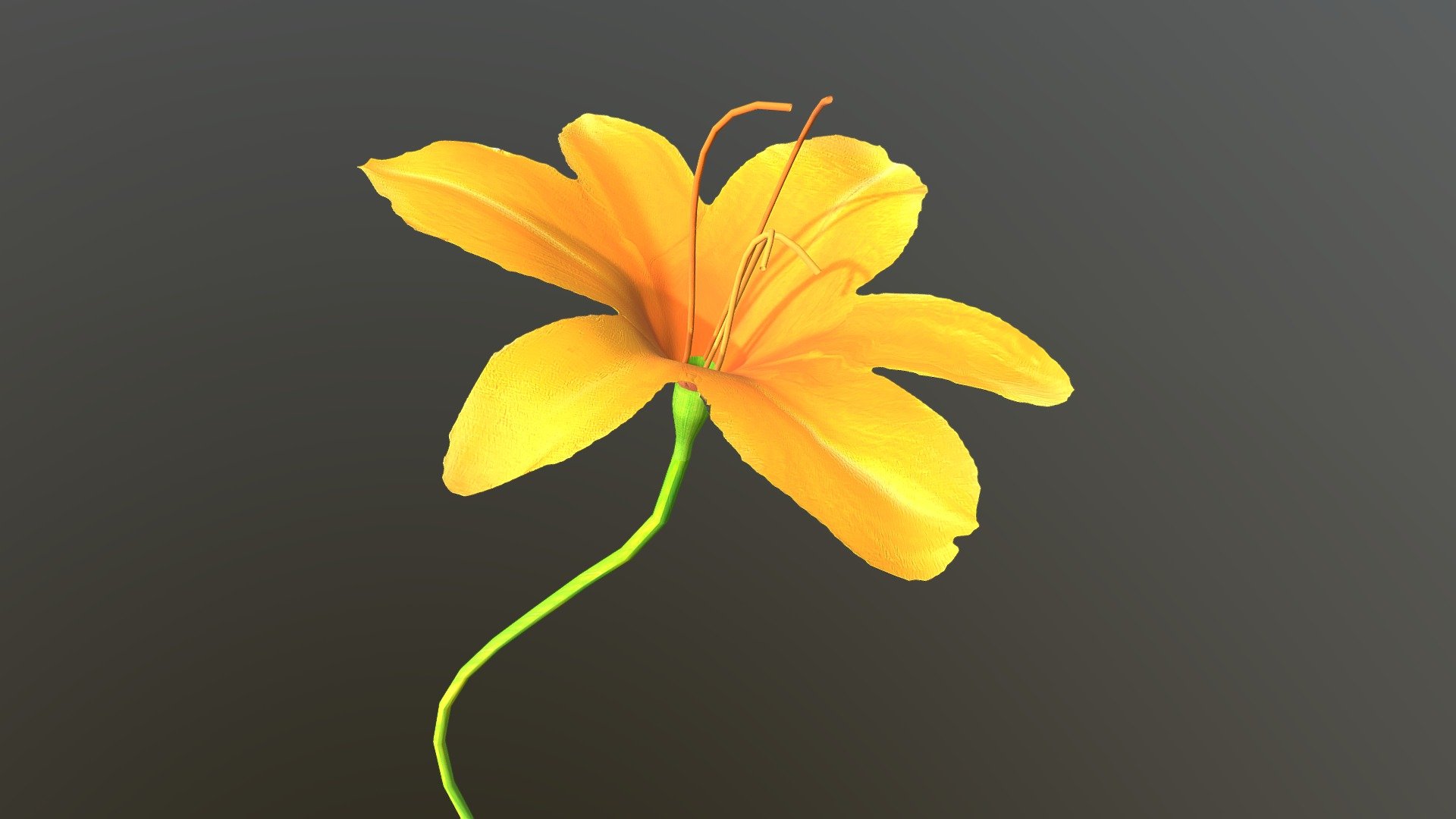 Lilly - Download Free 3D model by symension123 [5267a7e] - Sketchfab