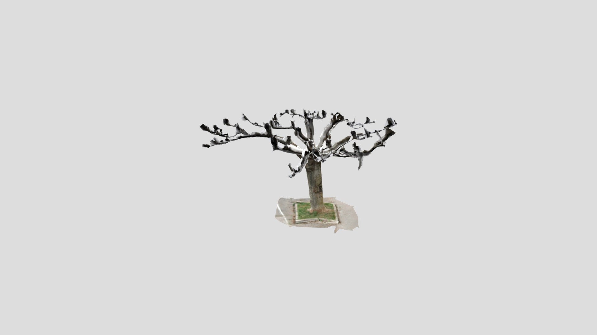 Rough tree scan - Download Free 3D model by Jésahel (@jesahel-benoist ...