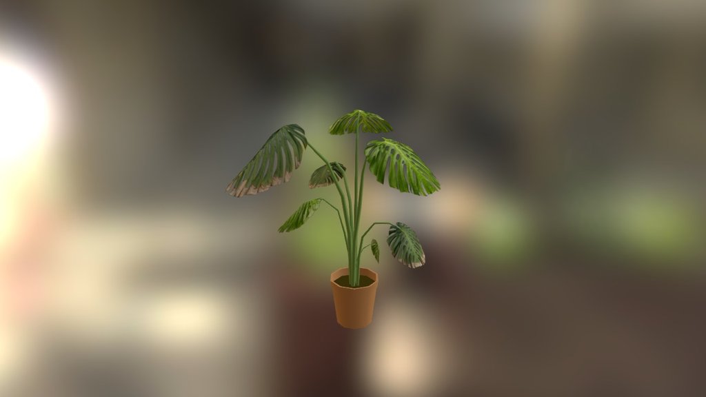 Large Leaf Plant - 3D model by jskagrafn [526e60d] - Sketchfab