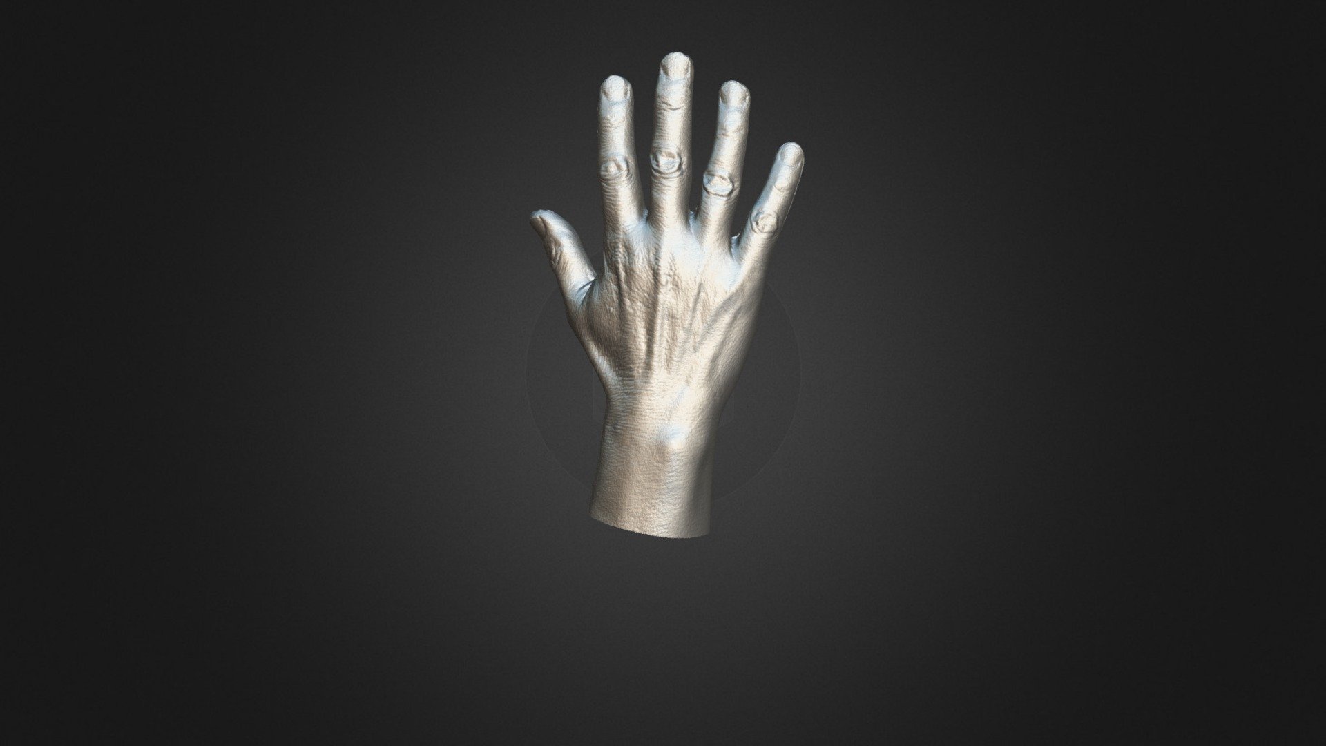 Hand - Download Free 3D model by Thunk3D 3D Scanner (@Lily.Qin1 ...