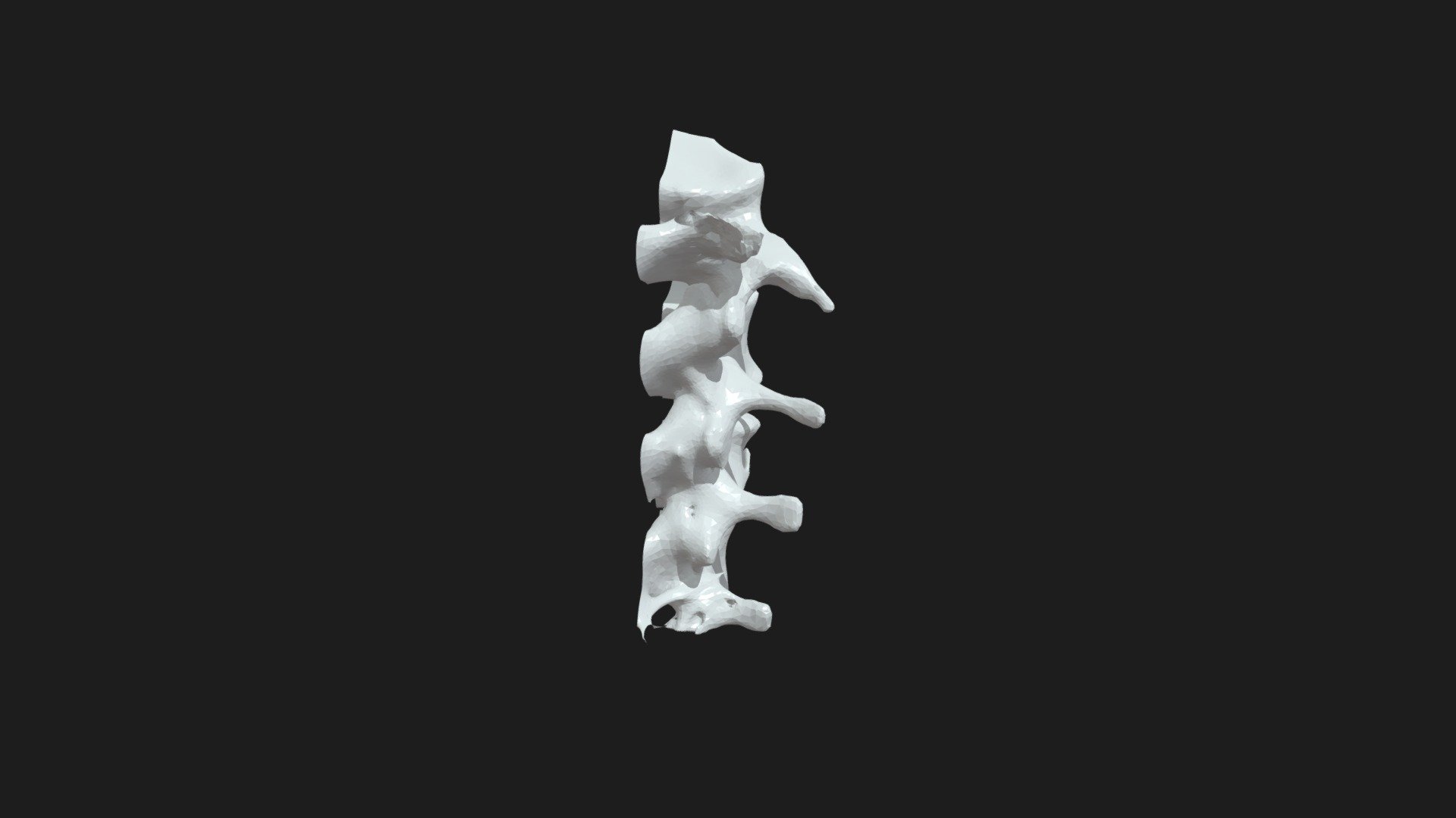 L2 sag - 3D model by alighieri87 [526f2ca] - Sketchfab