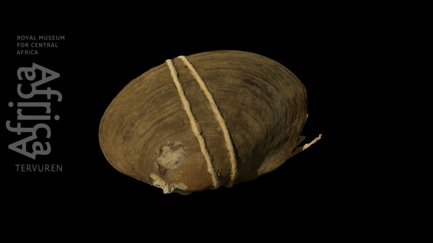 Nodularia sobaensis - 3D model by Royal Museum for Central Africa ...