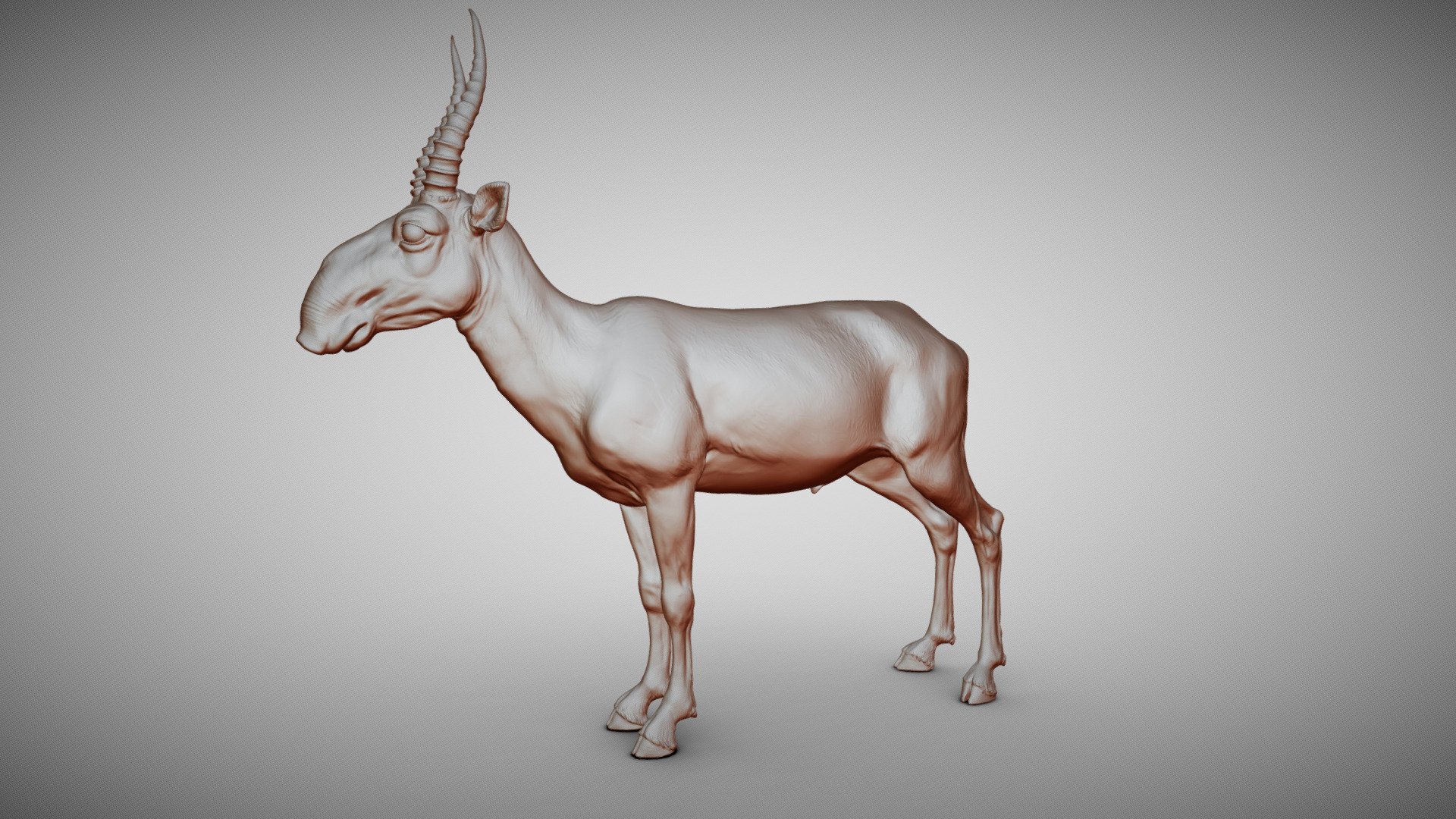 Saiga_T-pose - Buy Royalty Free 3D model by BreathTime [527602c] - Sketchfab Store