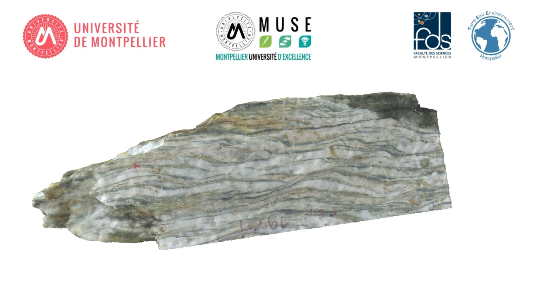 Métapélite-S.bleu / Metapelite-Blue.S n°1019 - 3D model by Université ...