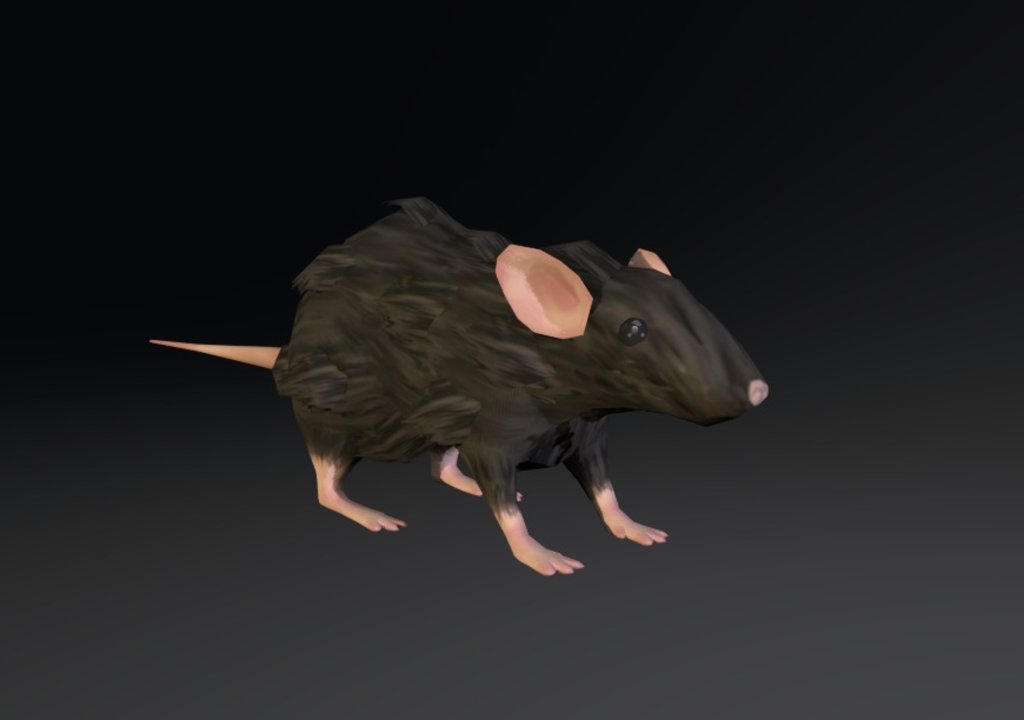 Sewer Rat - 3D model by Gran (@lividgrain) [5281e9a] - Sketchfab
