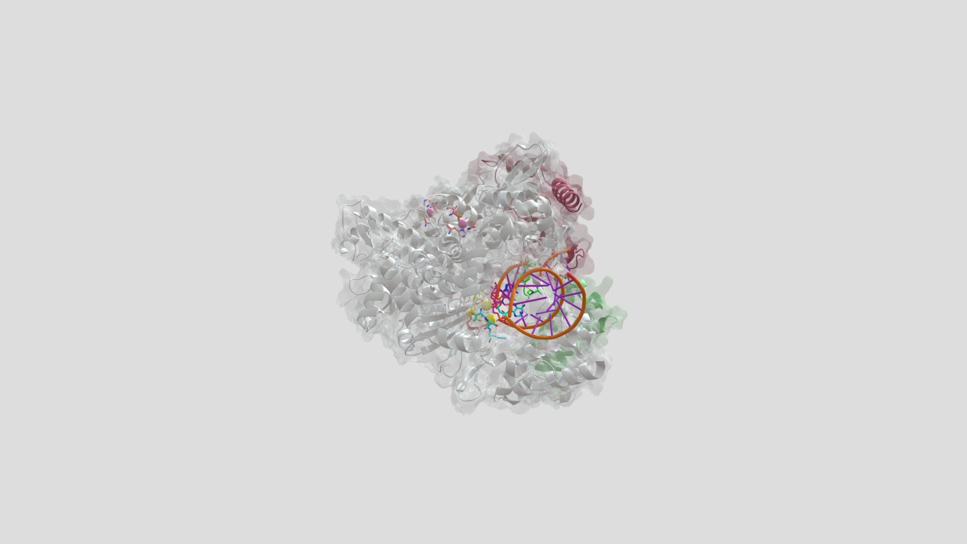 RNA-dependent RNA polymerase and remdesivir - 3D model by ...
