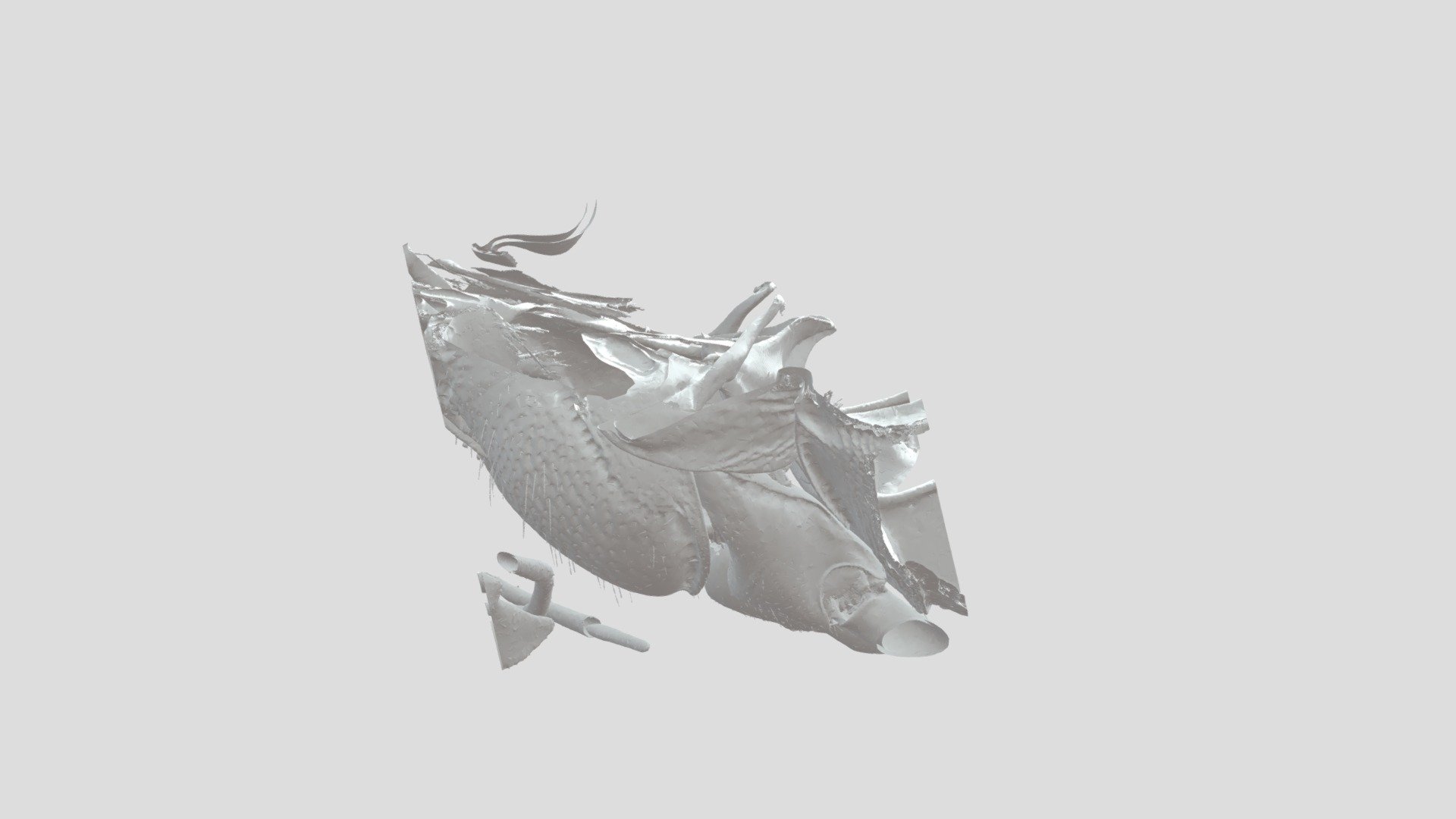 Trigonalyidae_prothorax_Bb044_z_01 - 3D model by boudant (@boudinotb ...