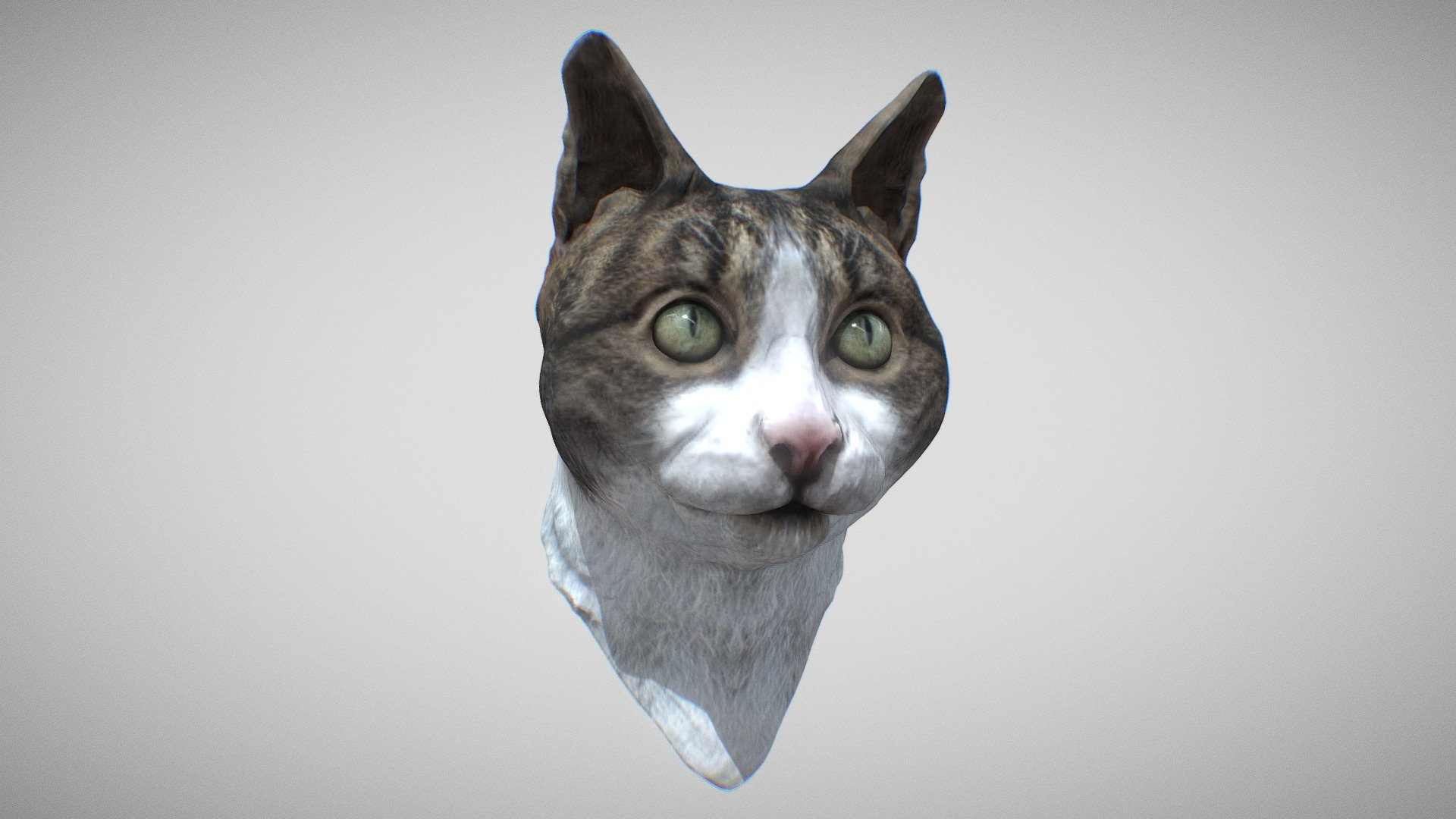 Meep the Cat - Buy Royalty Free 3D model by Tom Johnson (@Brigyon ...