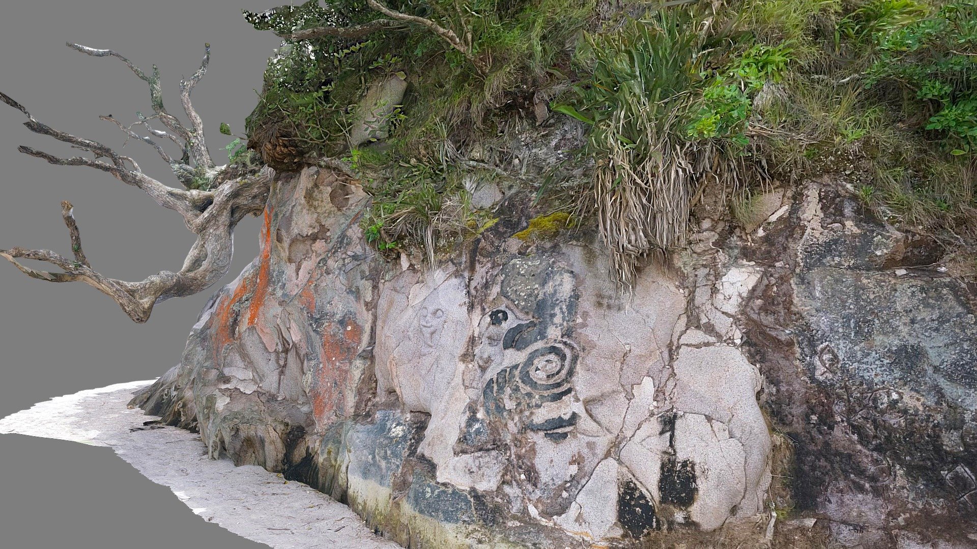 Sea cliff and tree - Download Free 3D model by b_nealie [528712c ...