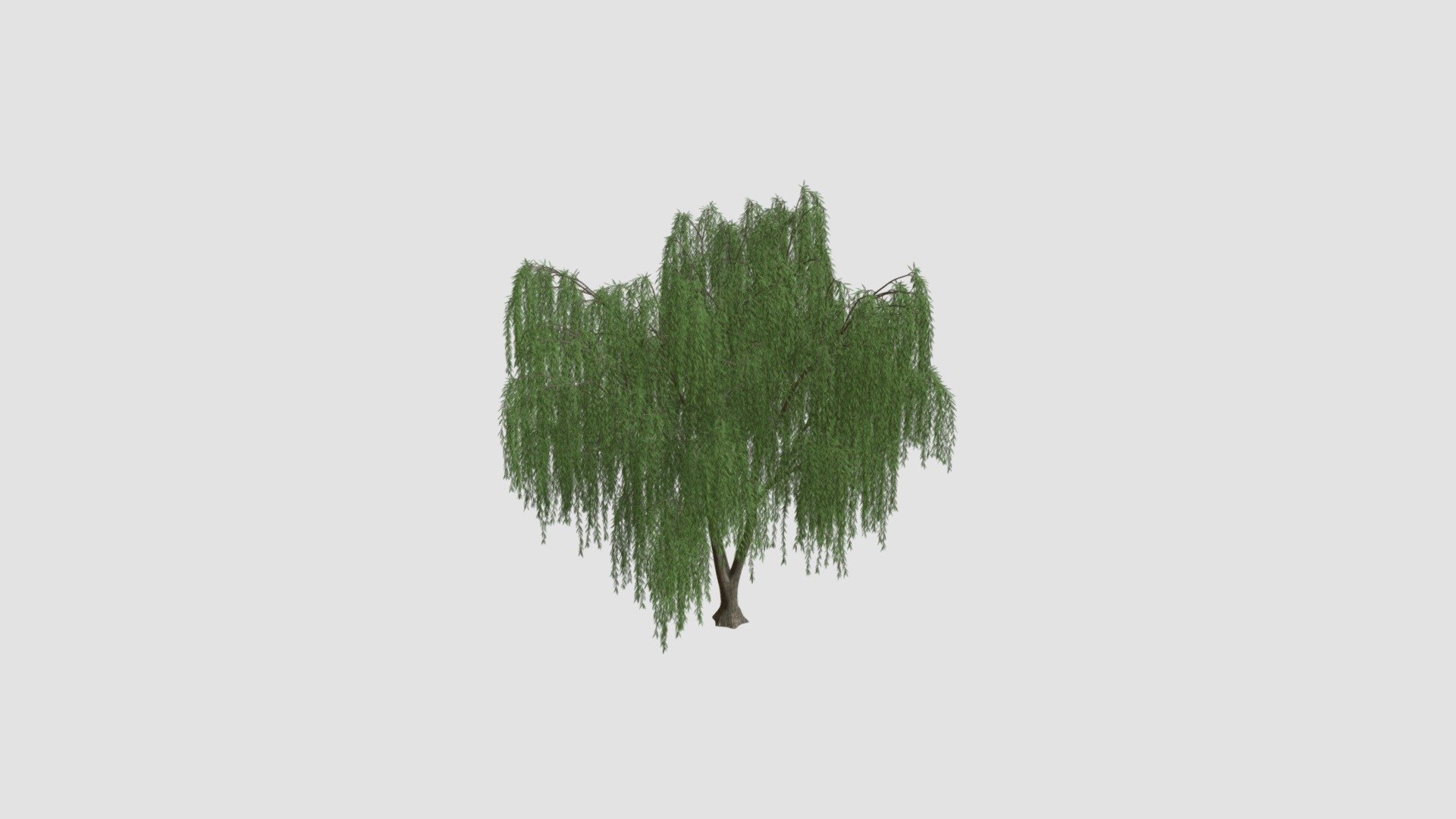 tree - Buy Royalty Free 3D model by Evermotion [528aacf] - Sketchfab Store