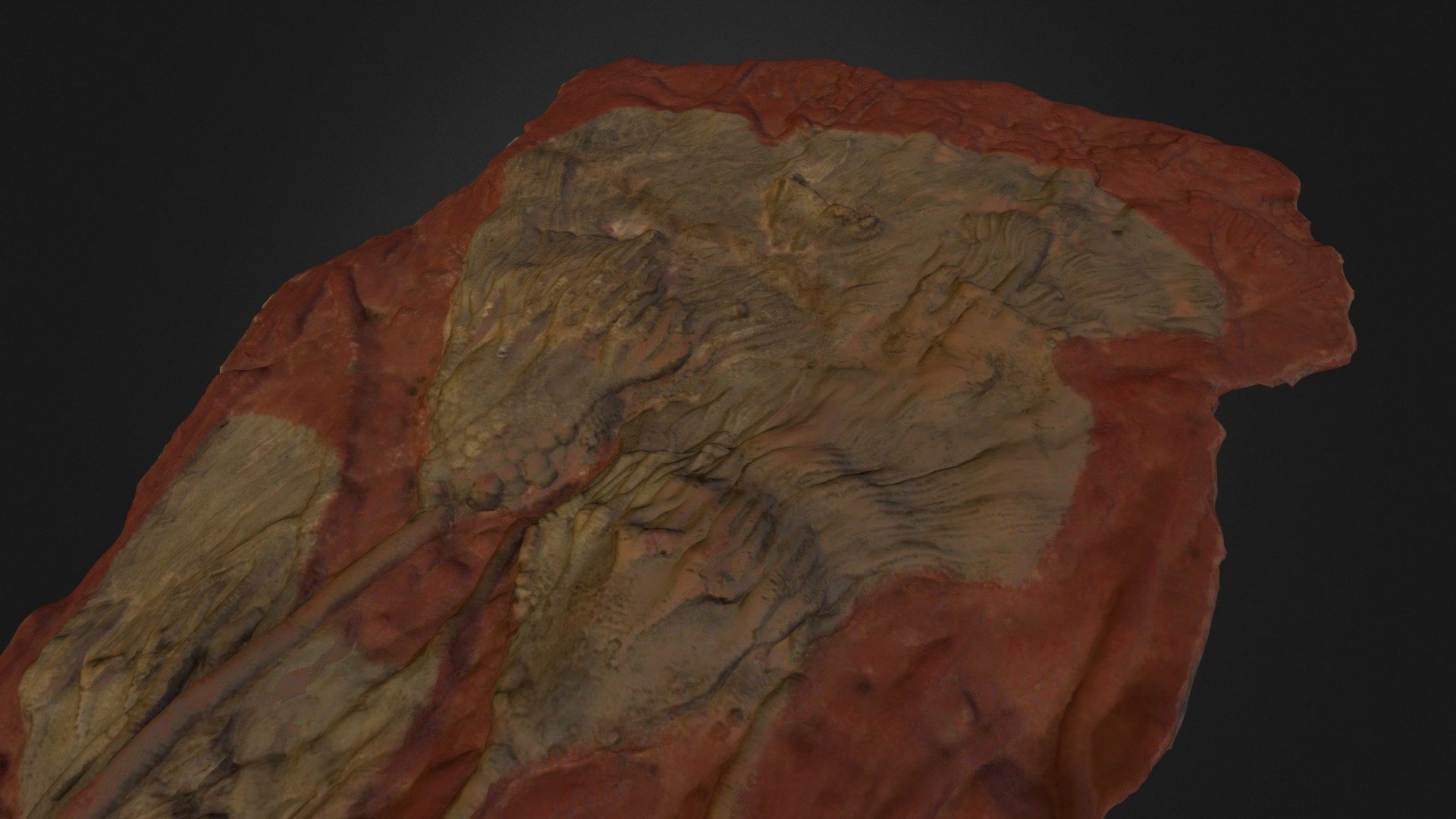 CRINOID - 3D model by 3D Fossils (@conqueror78) [52944f1] - Sketchfab