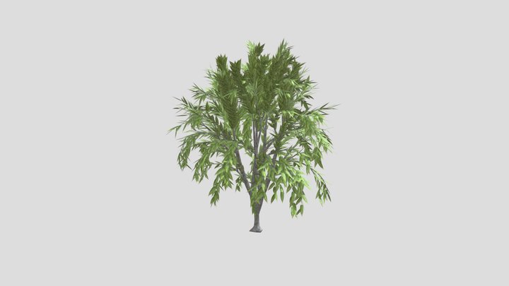 Cco 3D models - Sketchfab