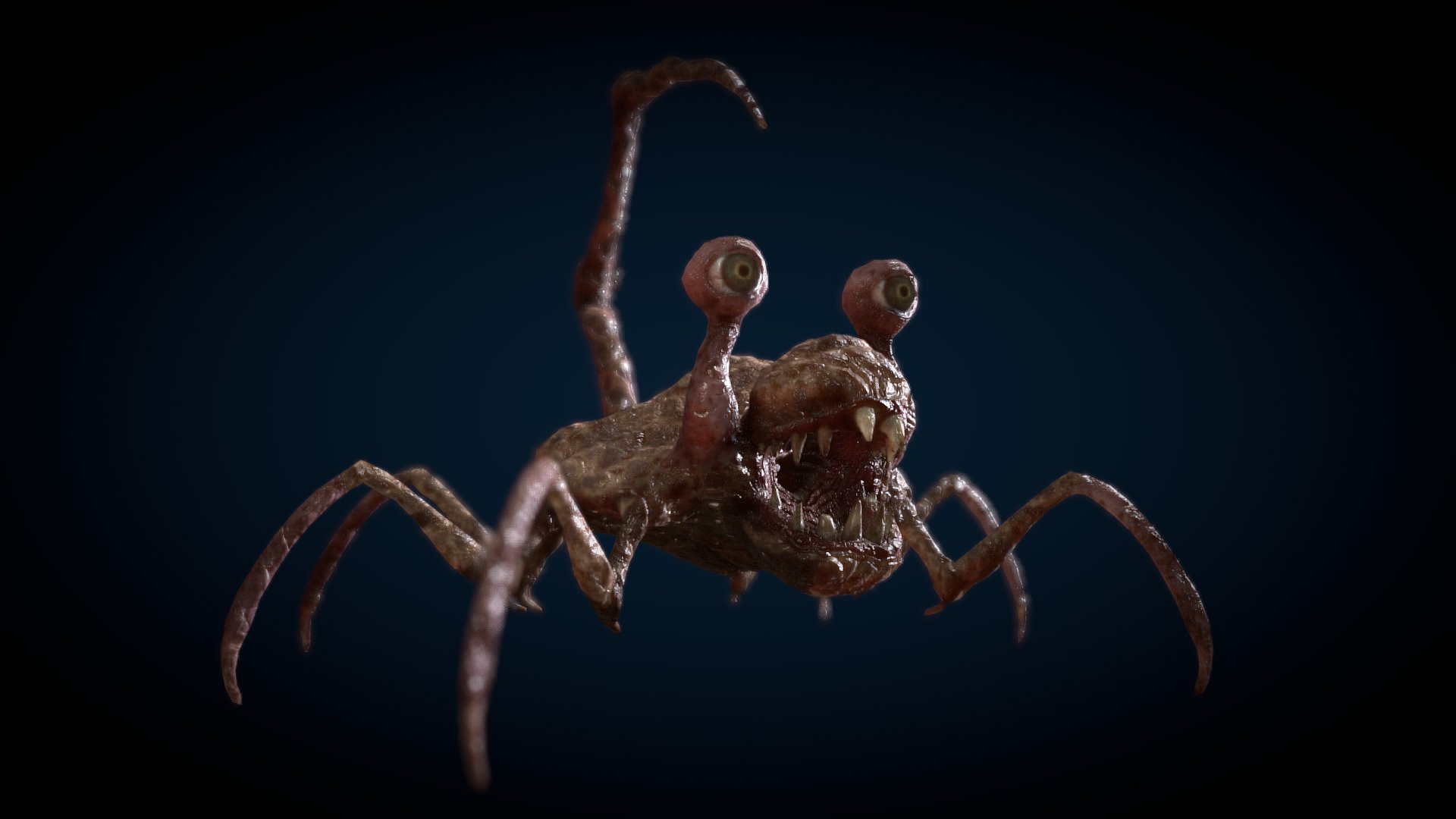 Bug - 3D model by CK (@xcellf) [5298cfe] - Sketchfab