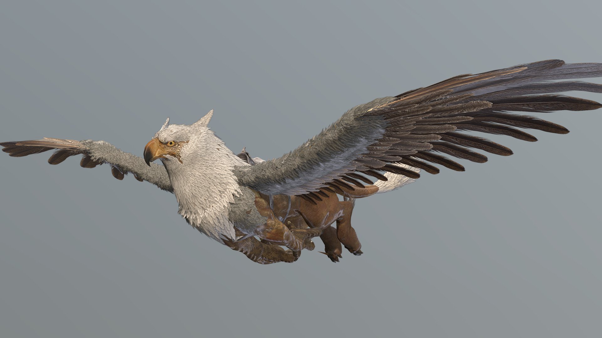Griffin Animated - 3D model by monstermod [52995eb] - Sketchfab