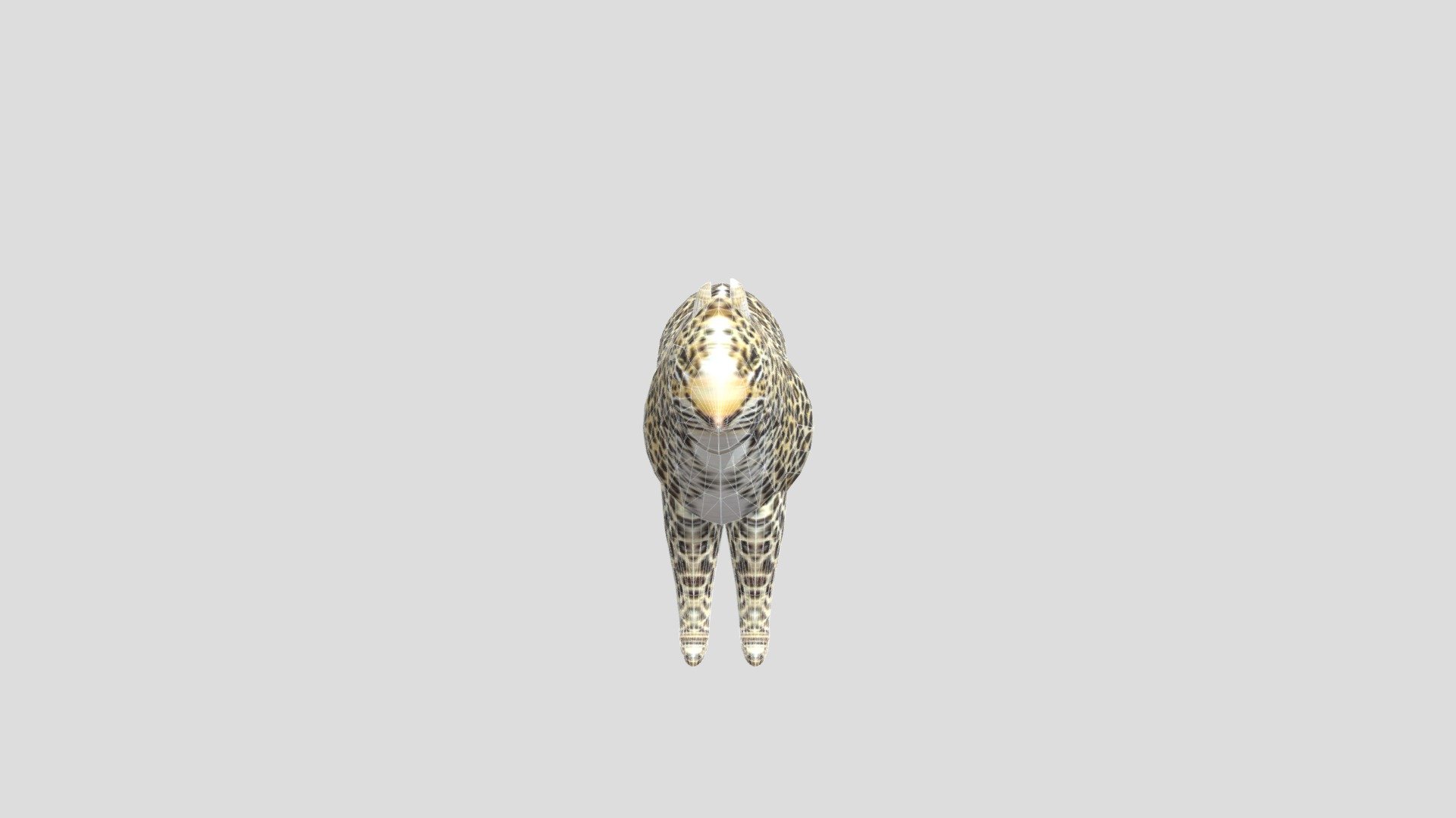 Leopard - Download Free 3D model by andreysouzanascimento692 [529d199 ...