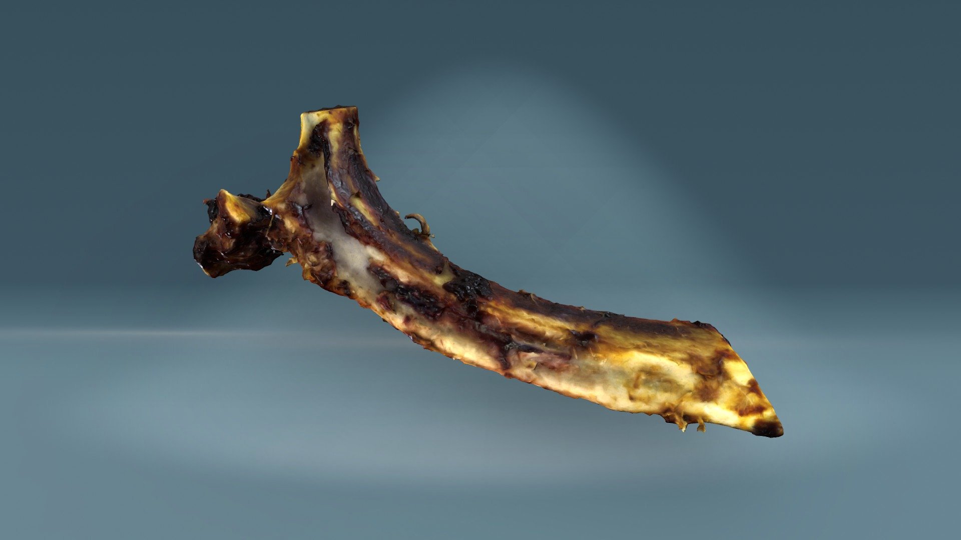BBQ Beef Rib Bone - Buy Royalty Free 3D model by AntiquesScanning ...