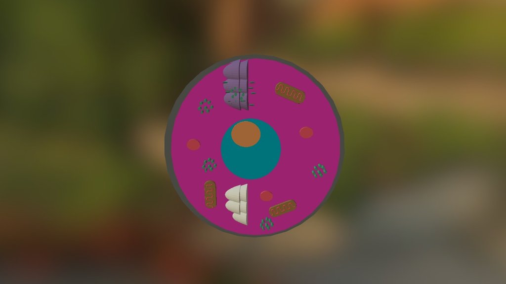 Cell Model Project (Cell) - 3D model by dhirajk [52a0f10] - Sketchfab
