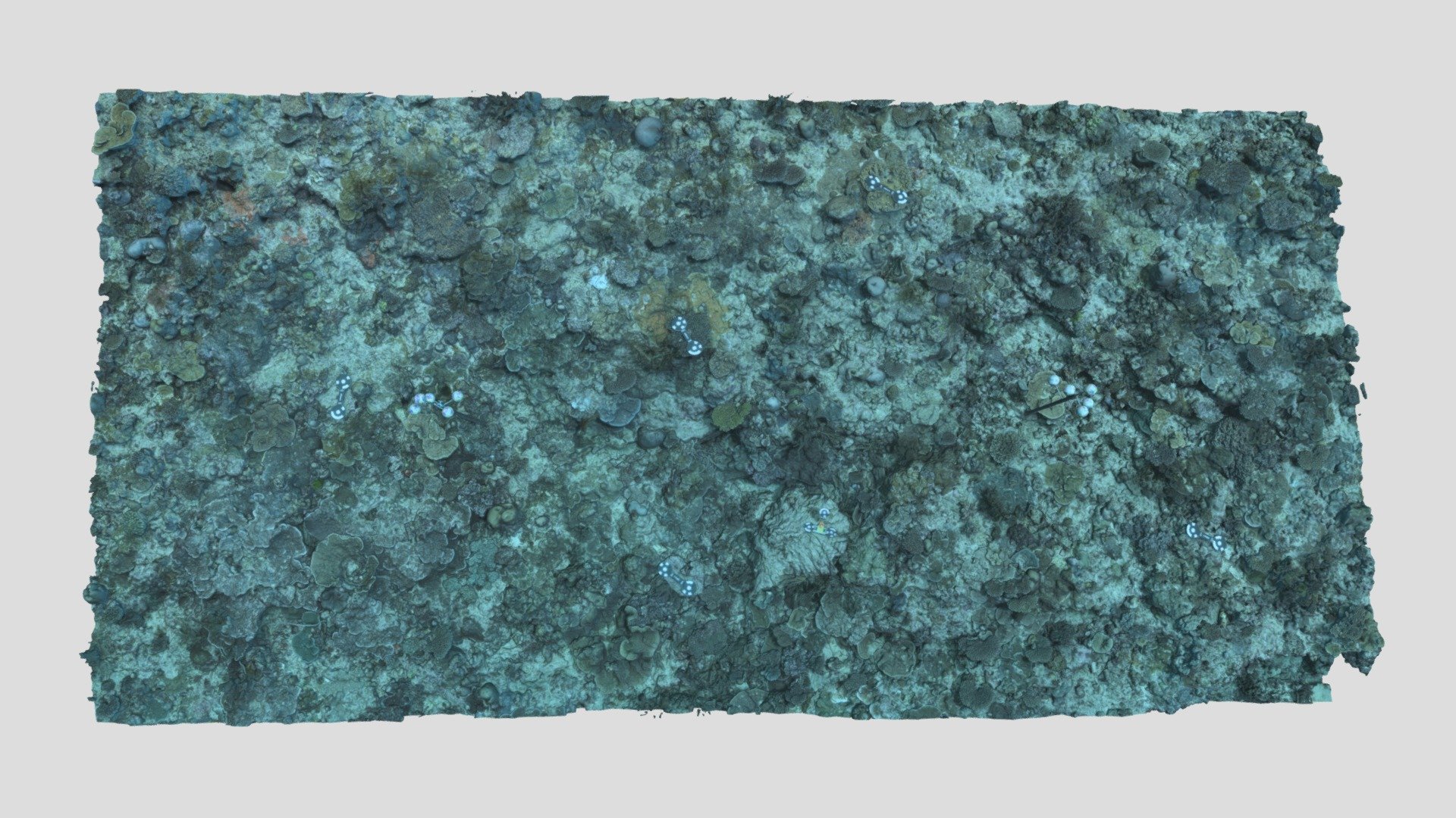 Heron_BA1D_P4_202205 - 3D model by EcoRRAP (@AIMSEcoRRAP) [52a4eb2 ...