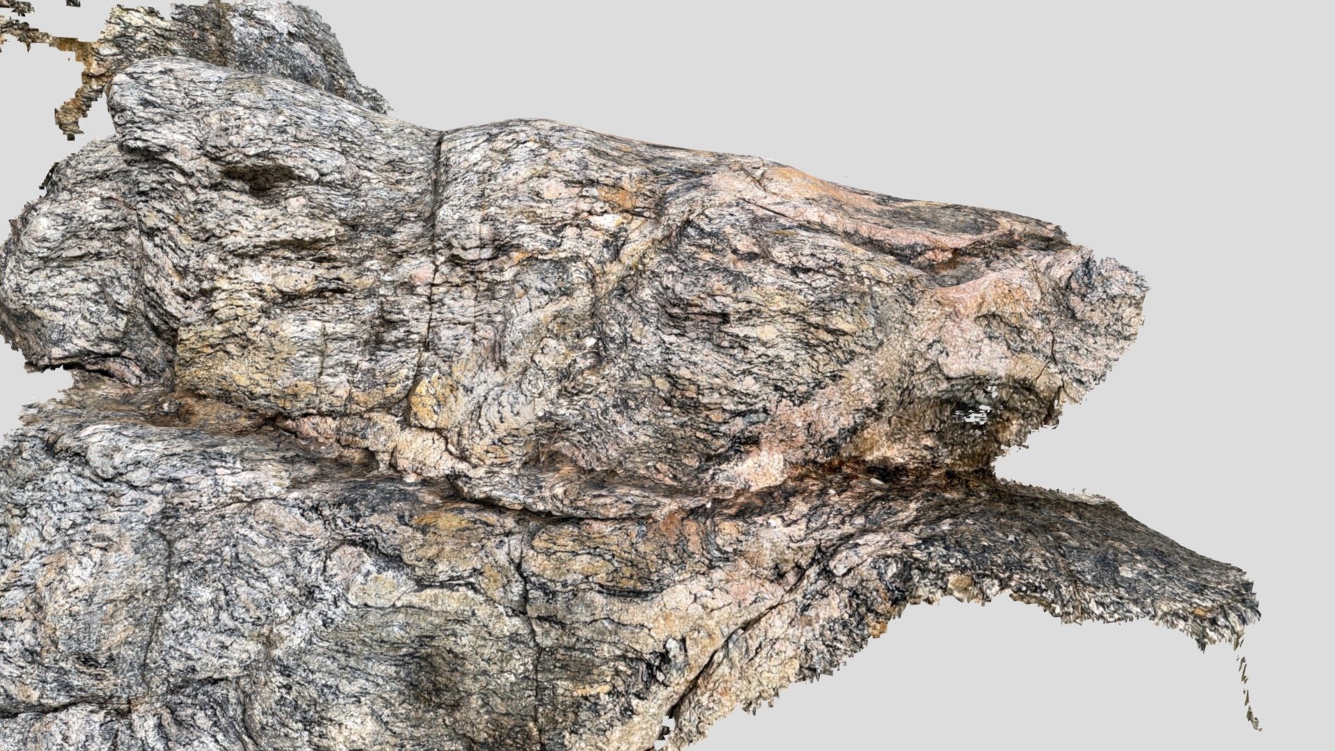 Migmatitic orthogneiss with veins - Download Free 3D model by gduclaux ...