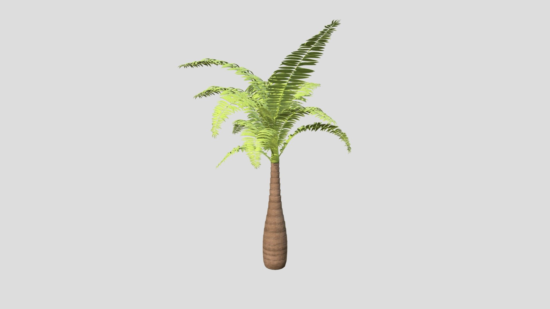 Palm Tree - 3D model by Jessica Fletcher (@dalinara) [52aa308] - Sketchfab