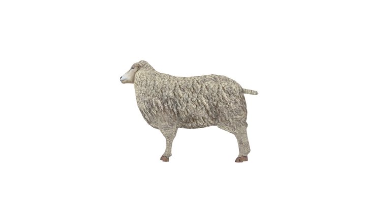 Cattle-farming 3D models - Sketchfab
