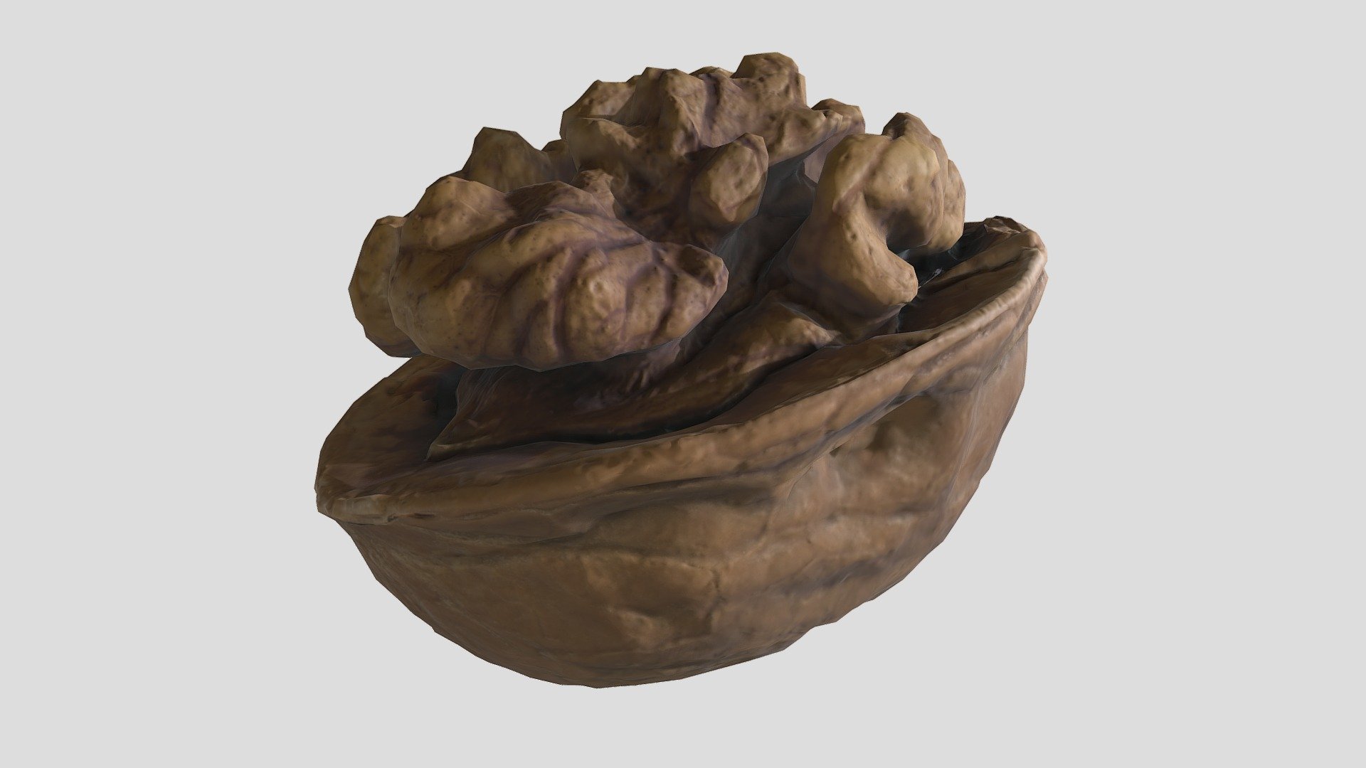 Walnut (free download) - Download Free 3D model by cglib.team ...