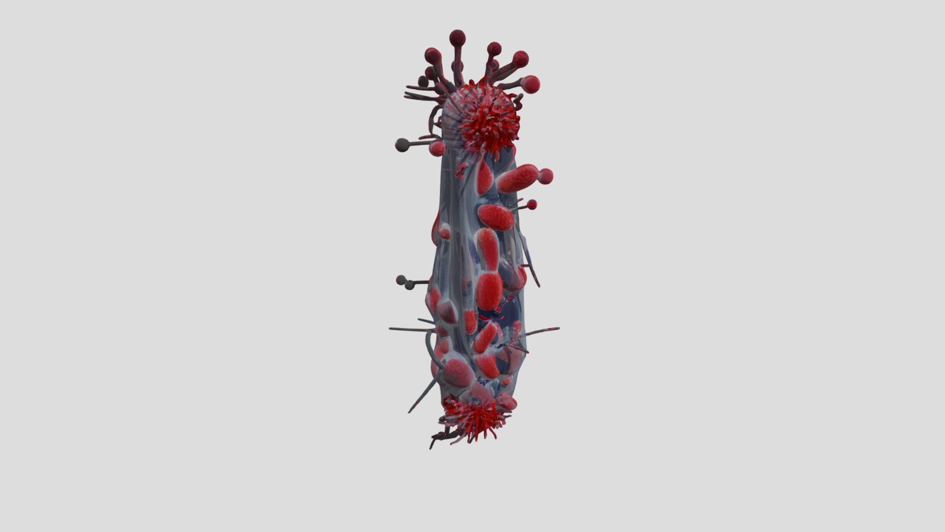 Bacteria (1) - 3D model by ximeeh [52ba097] - Sketchfab
