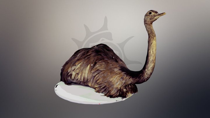Rhea 3D models - Sketchfab