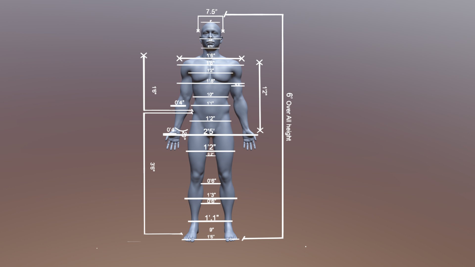 body - 3D model by modeling team (@krunal1) [52bf36c] - Sketchfab