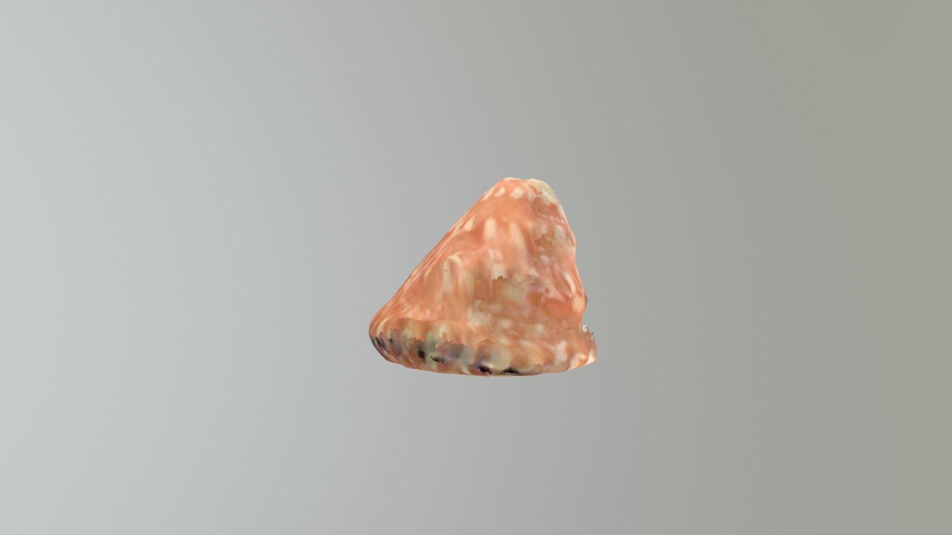 齒輪鐘螺Trochus sacellum - 3D model by CraftsinPengHu (@luperlatw) [52c72a7 ...