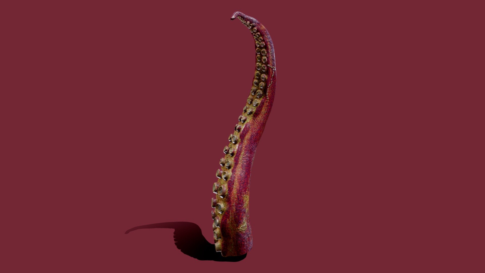 Kraken Tentacle [Animated] - Buy Royalty Free 3D model by Lazanja ...
