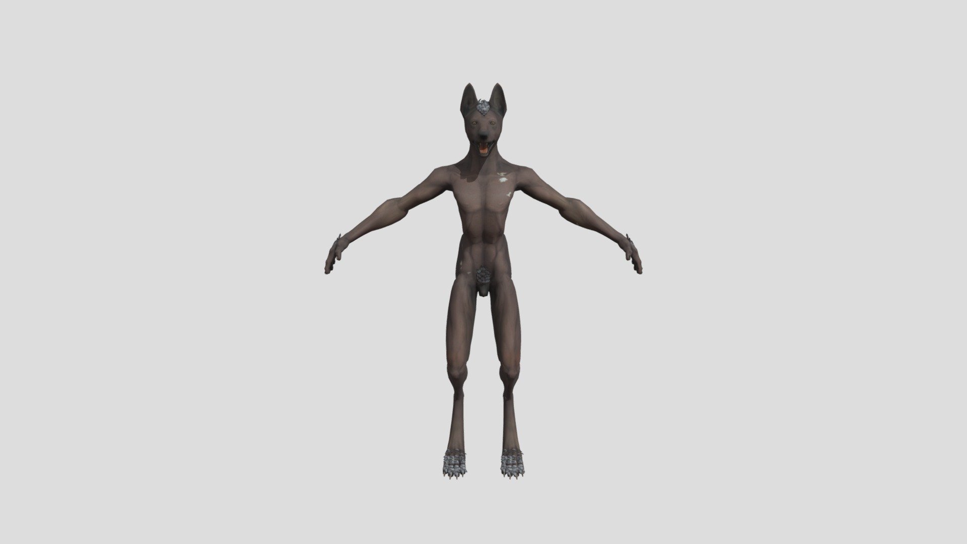 Xolo Dog - Download Free 3D model by akazi [52d209b] - Sketchfab