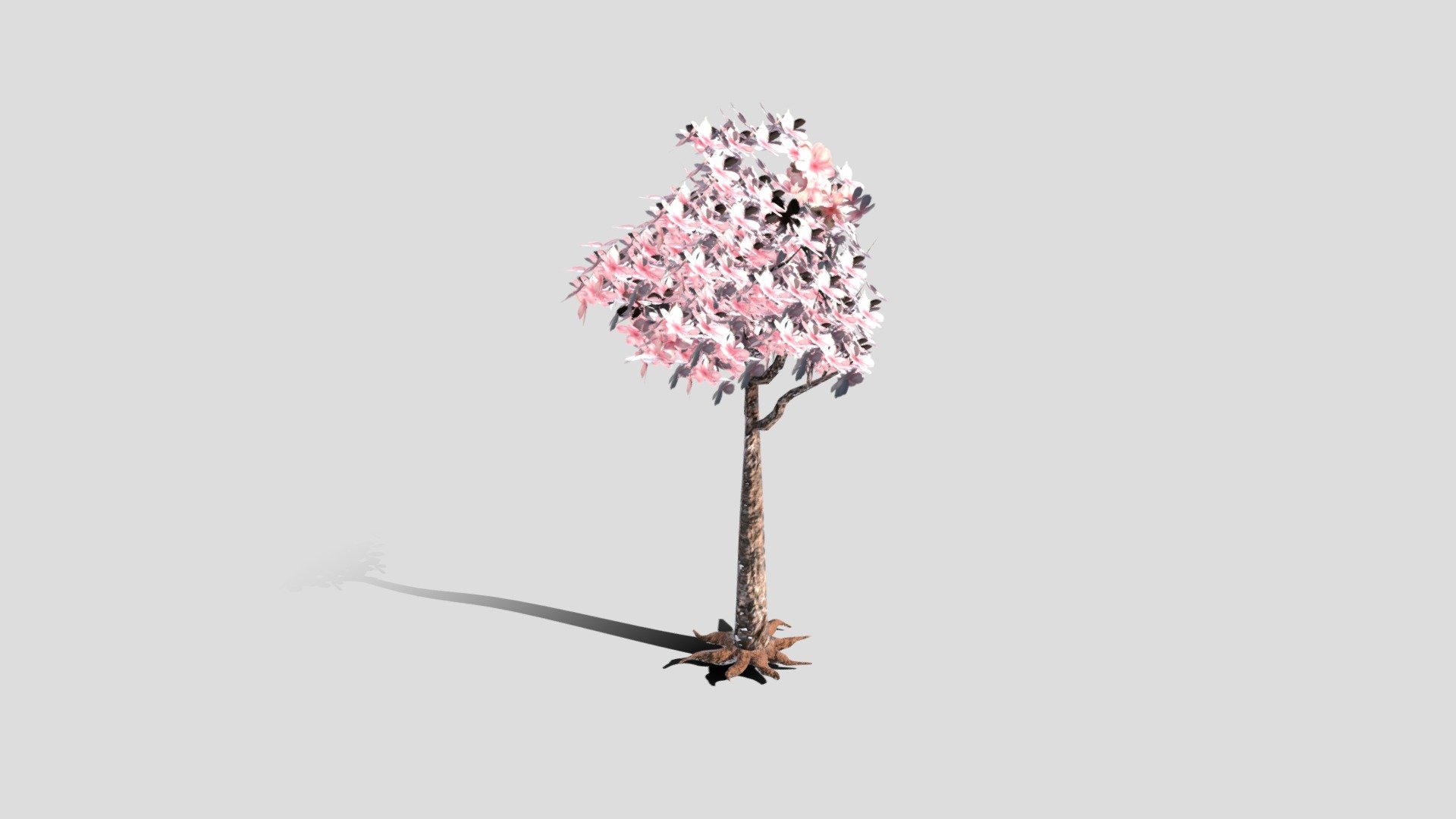 Cherry Blossom Tree - 3D model by Drxmatic [52d709f] - Sketchfab