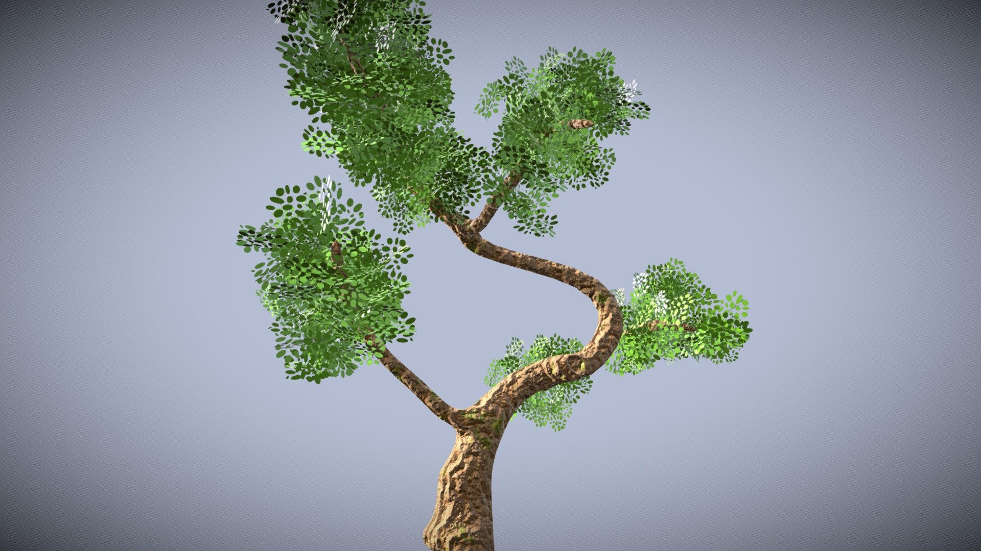 Tree w/Green Leaves - Download Free 3D model by Carnosaix [52d7a2f ...