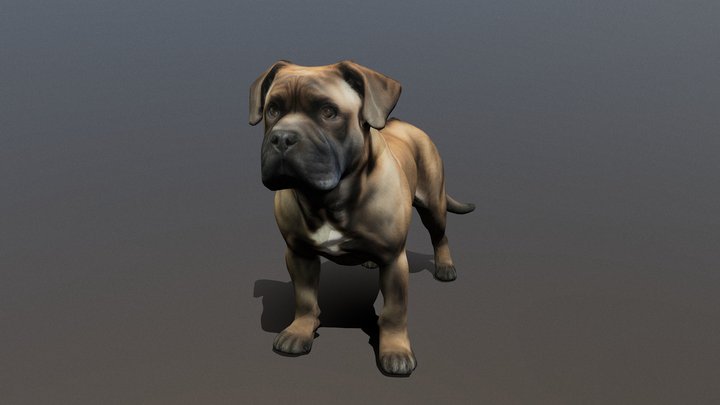 Cane 3D models - Sketchfab