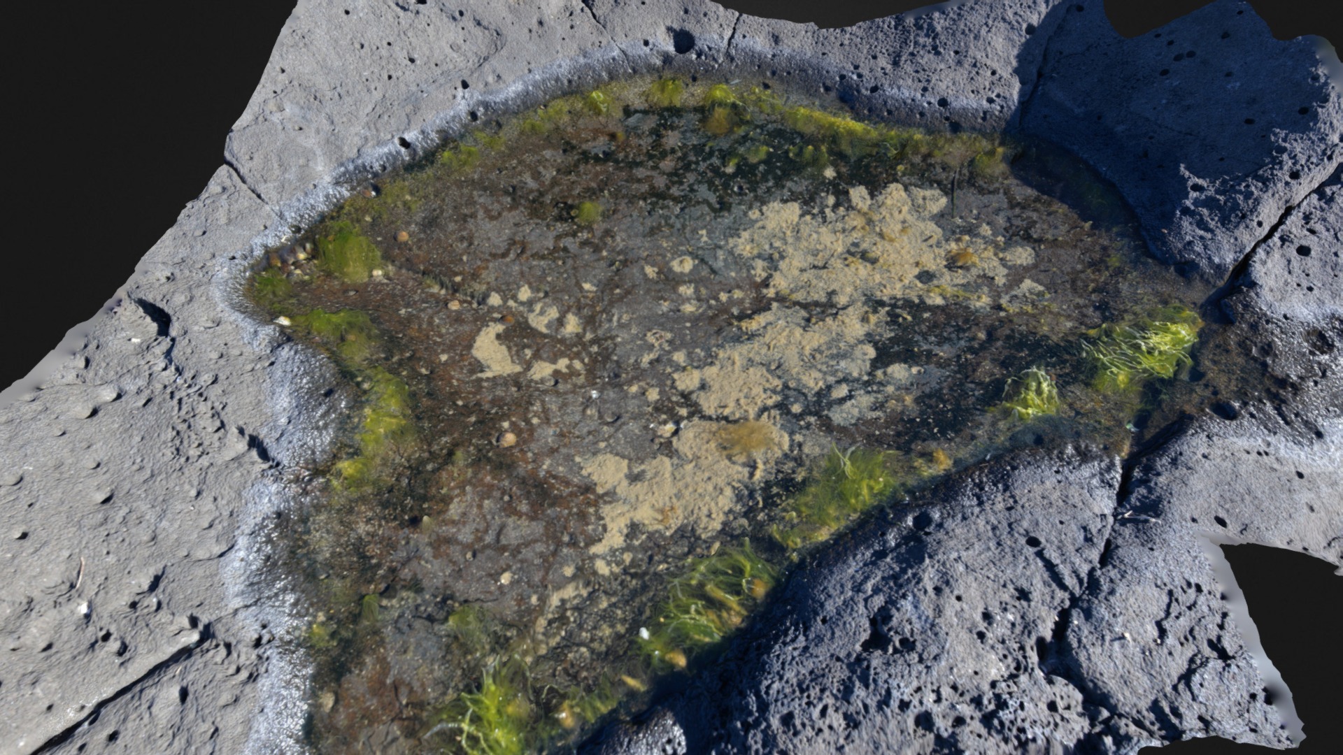 Small Rockpool - 3D model by Oceantia [52e4699] - Sketchfab