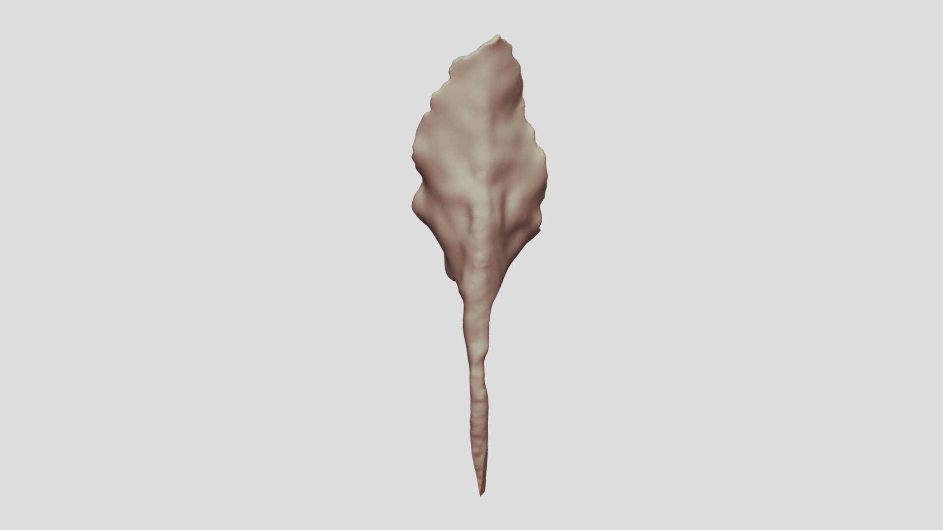 Leaf 09 - Download Free 3D model by GigaScience (@GigaDB) [52ea983 ...