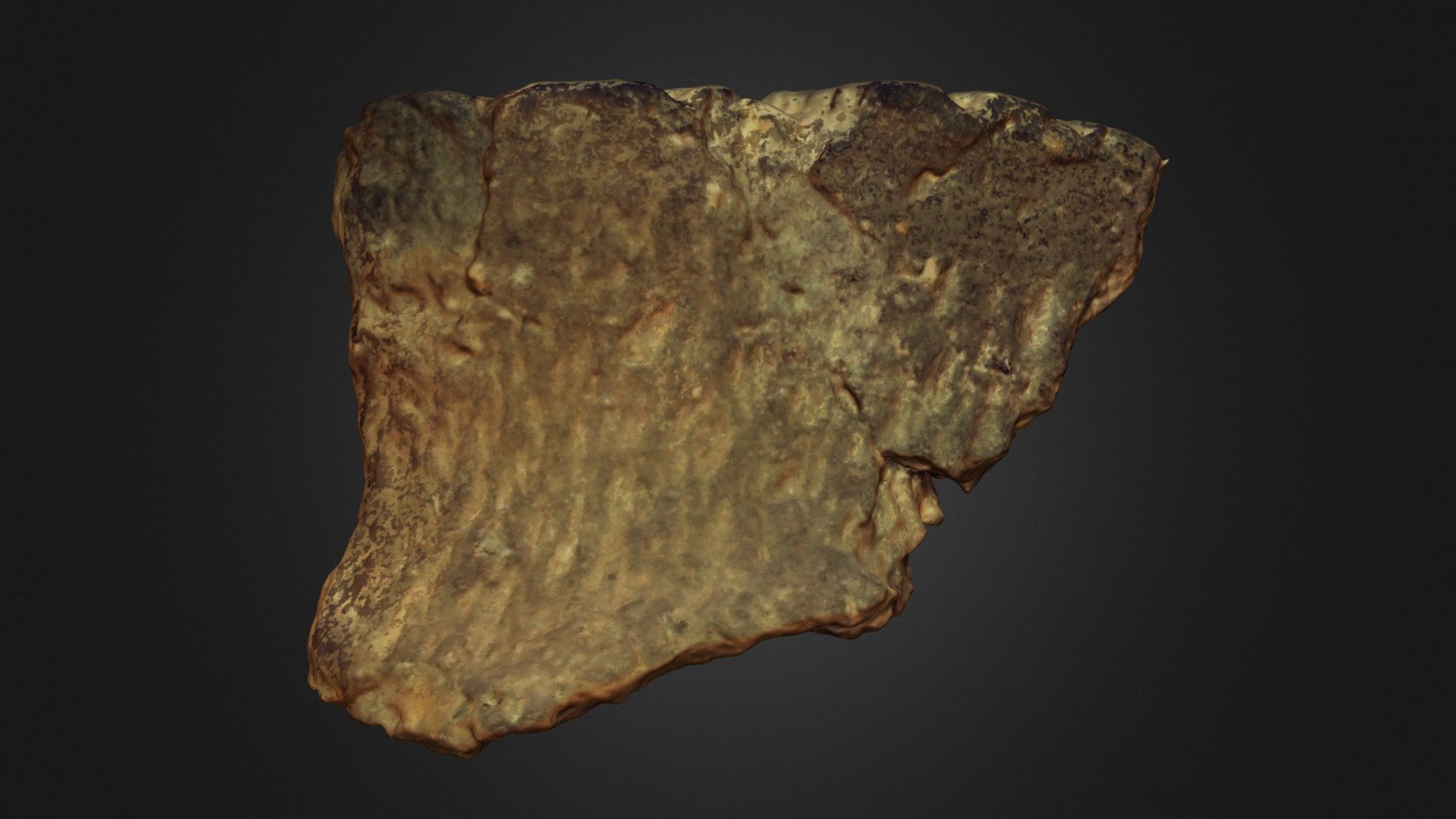 EaKa-1 Selkirk Rim - 3D model by LakeheadAnthropology [52ec010] - Sketchfab