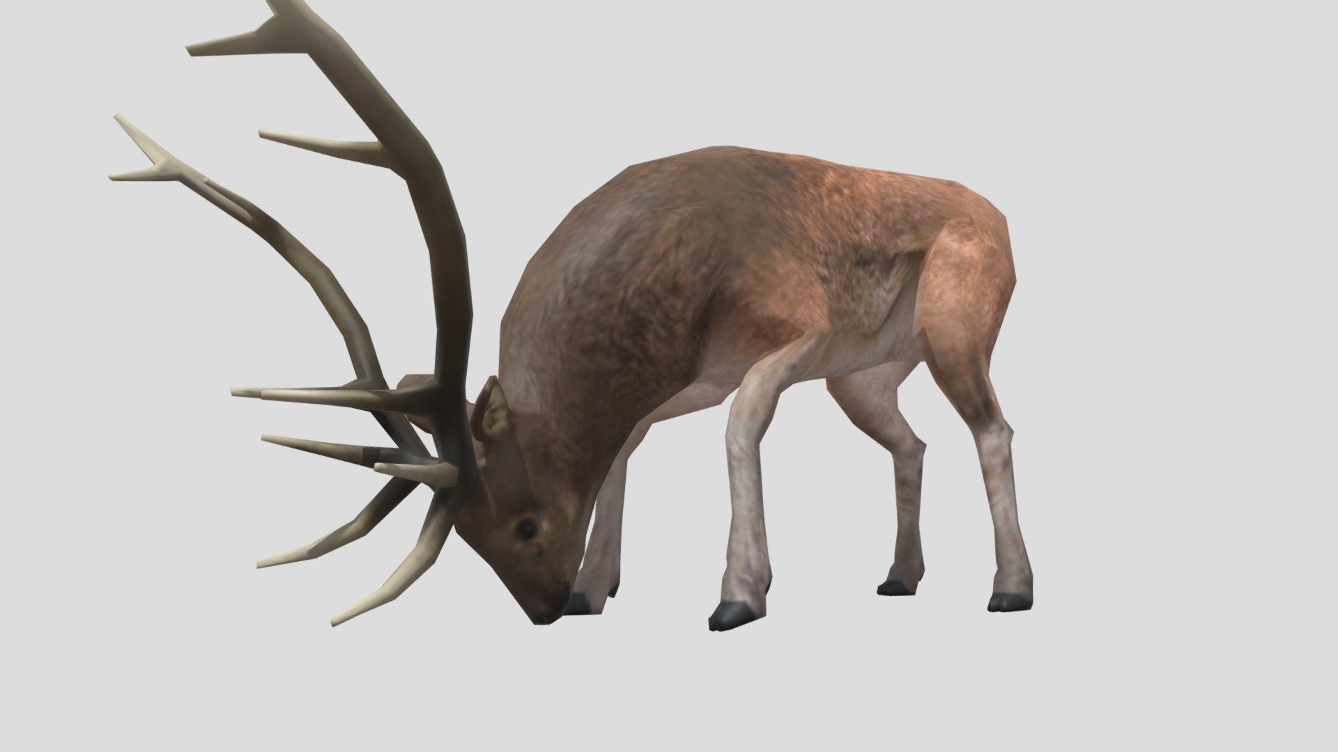 Stag - Download Free 3D model by anru97580 [52f474b] - Sketchfab
