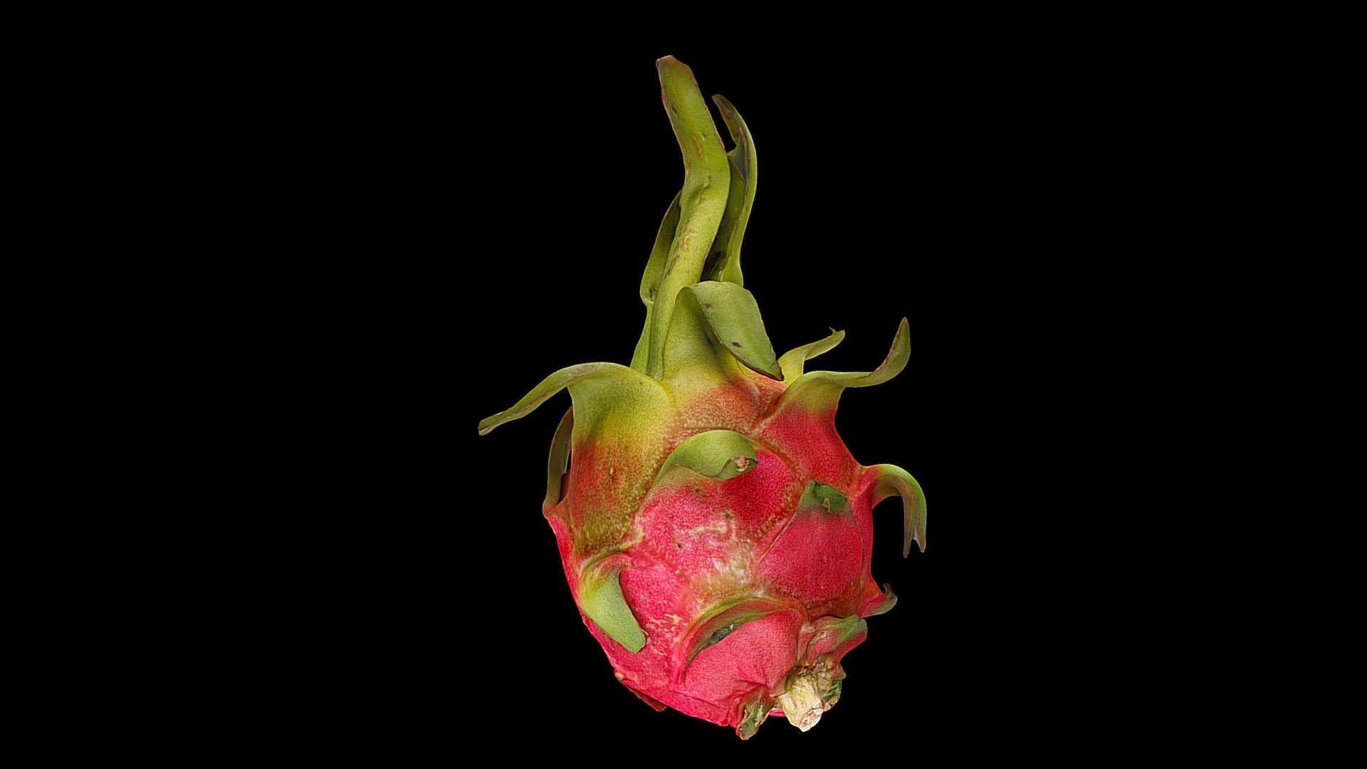 Dragon Fruit - Download Free 3D model by Andrei Alexandrescu (@Andrei ...