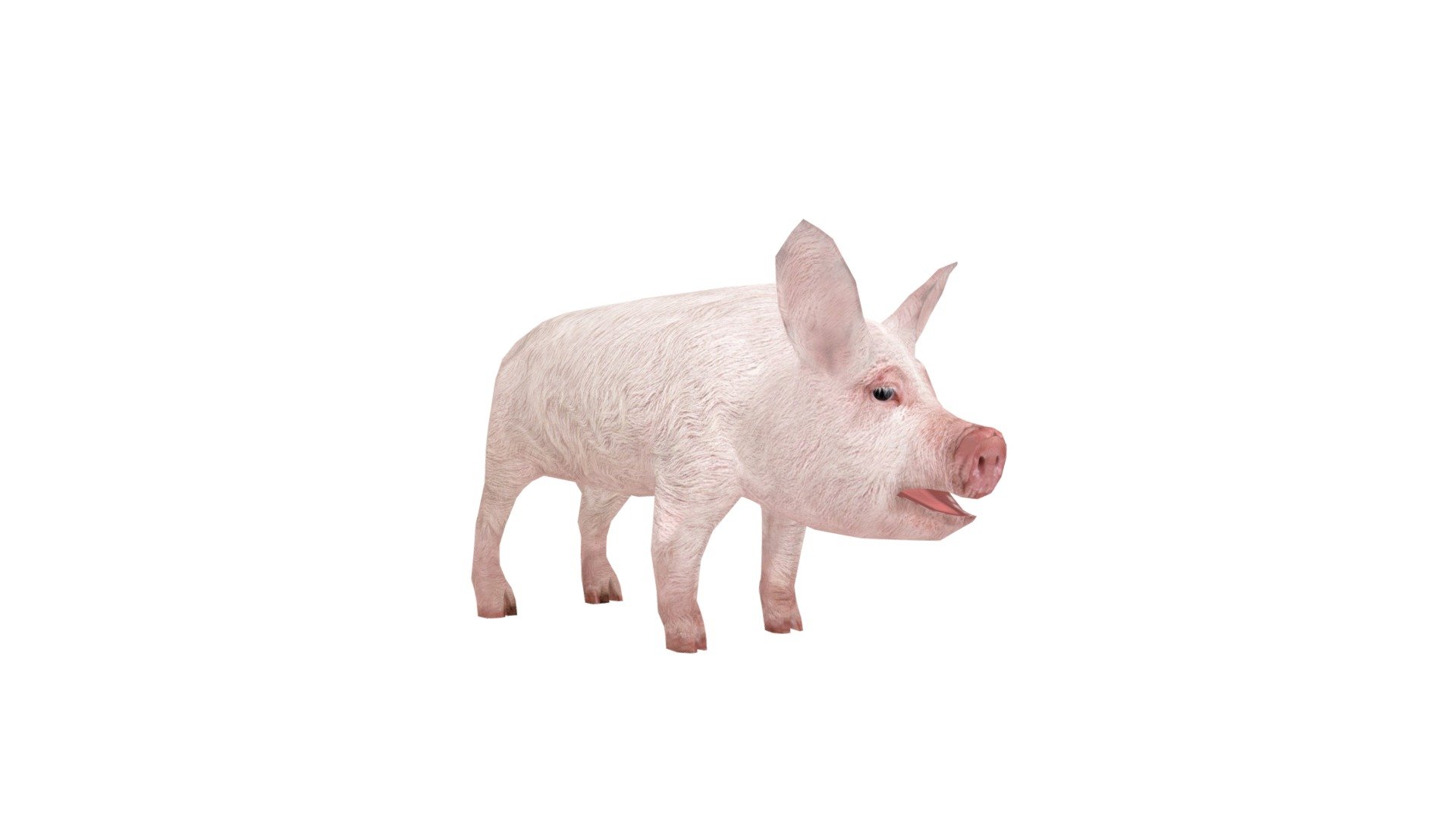 Piglet - 3D model by 3DRT.com [530168f] - Sketchfab