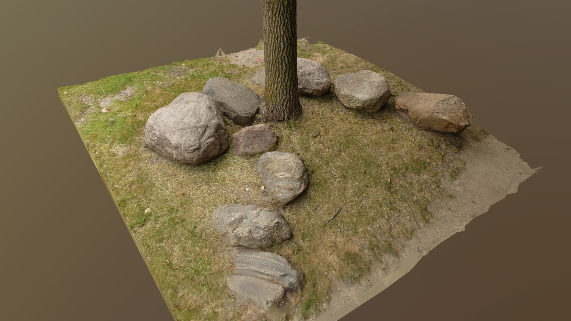 TREE BASE & ROCKS - Download Free 3D model by smearballs [53064a3 ...