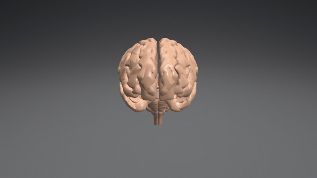 A Encephalon - 3D model by riid [530bbbd] - Sketchfab