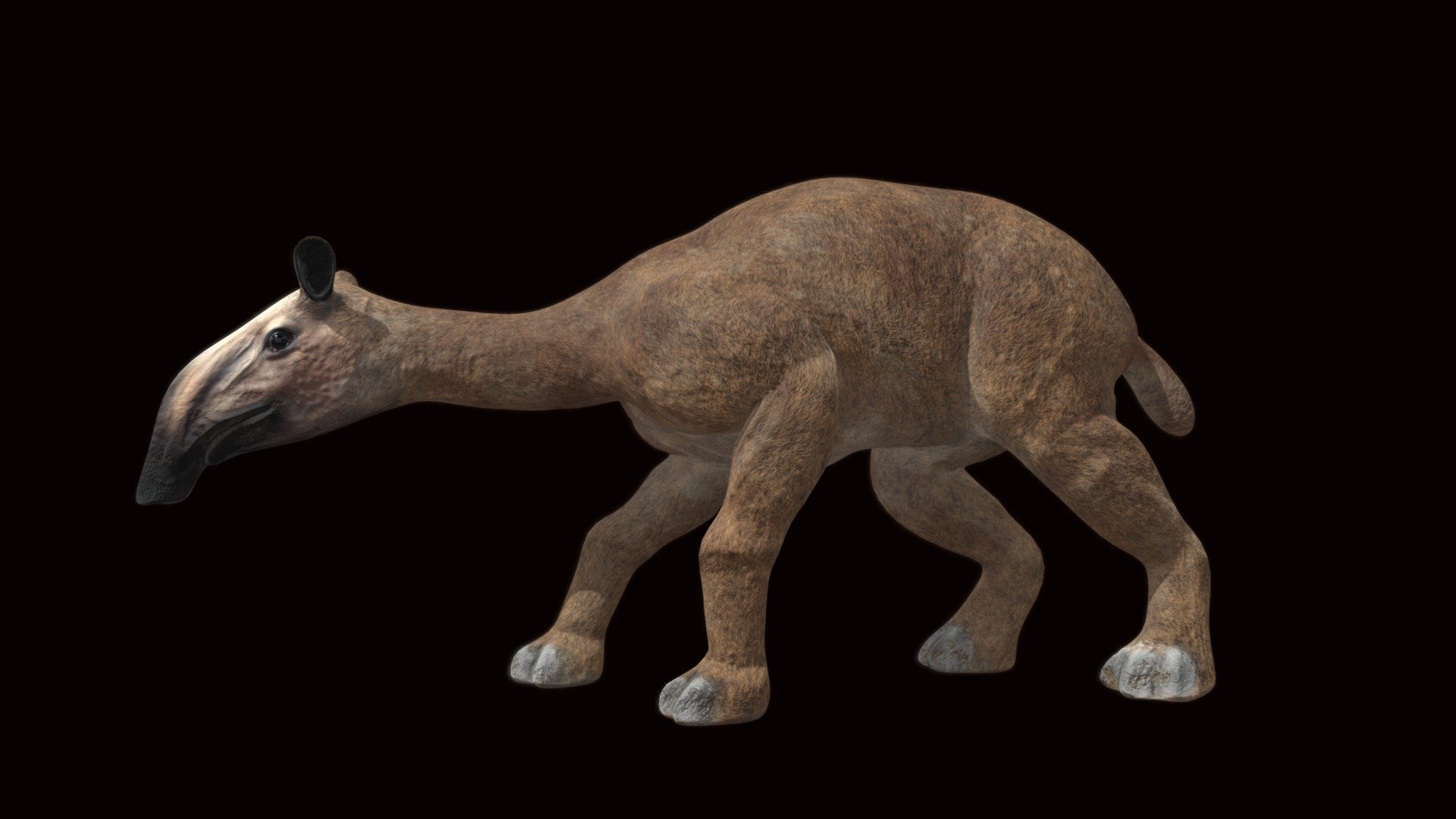 Macra_pose_AR_01 - 3D model by memoriavirtual [531fbdd] - Sketchfab