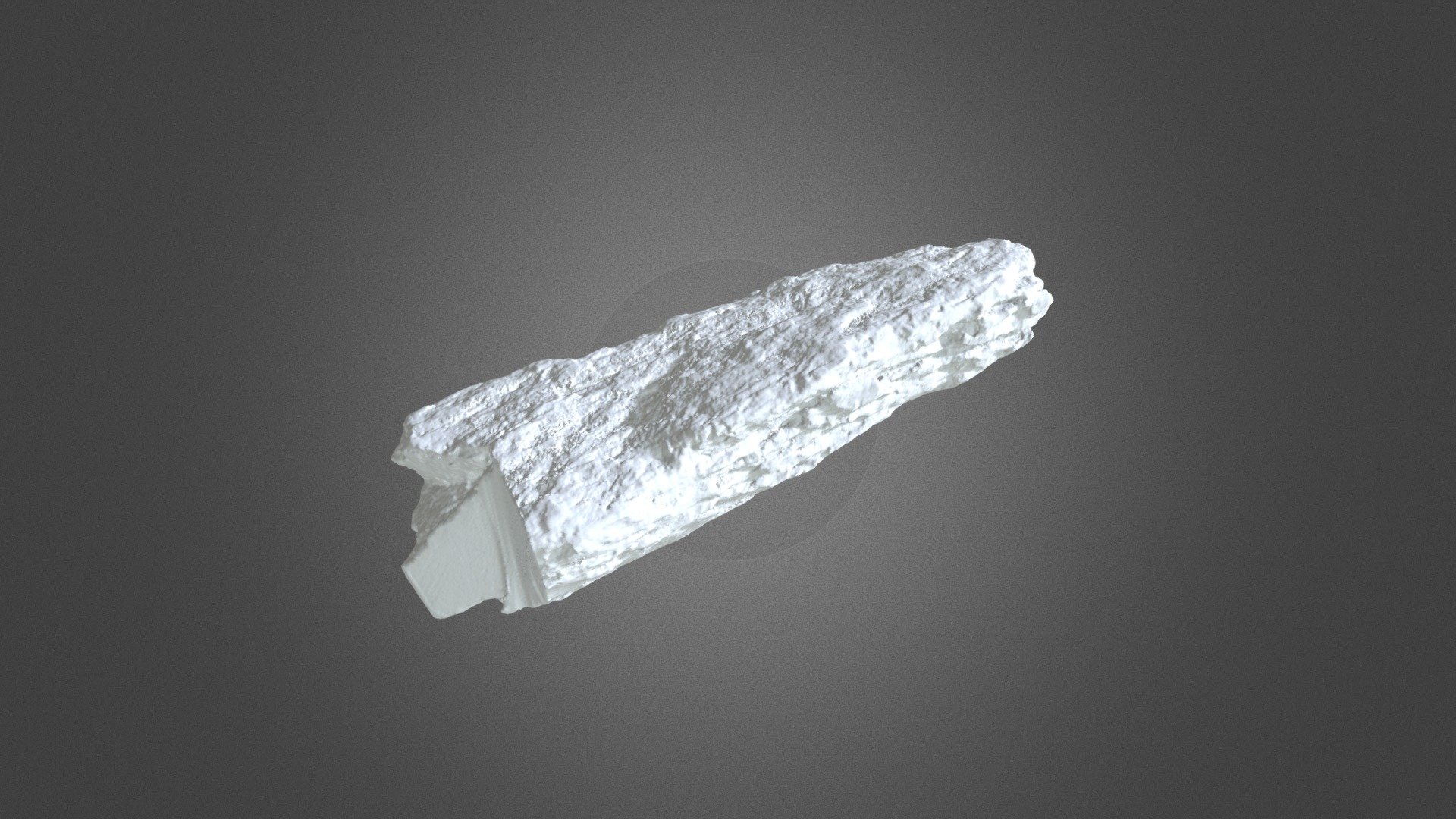 Denisova 11 Human Bone Fragment - 3D model by University of York ...