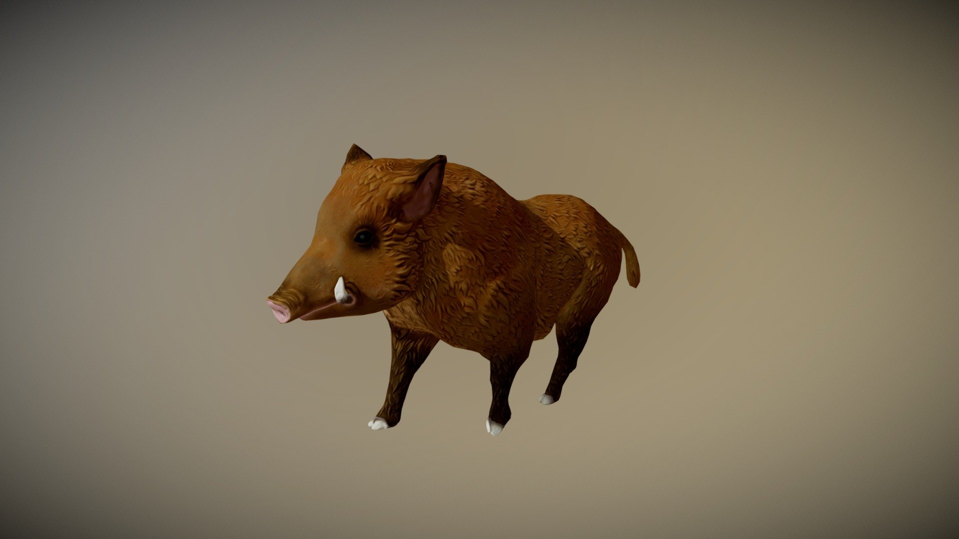 Wild Boar Walk - 3D model by aurelieArnoux [53296e3] - Sketchfab